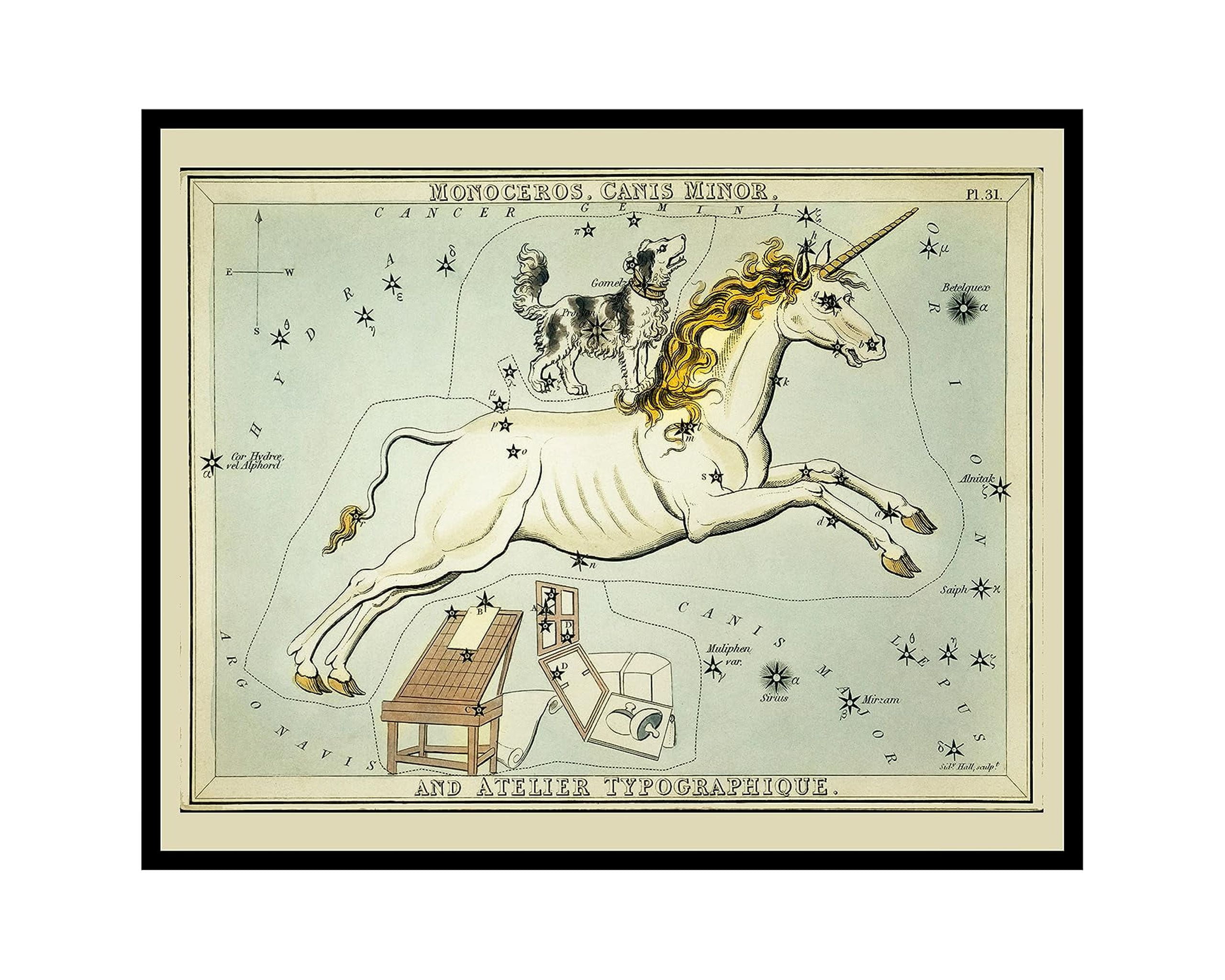 Poster Master Astrology Posters, Taurus Zodiac Constellation Poster ...