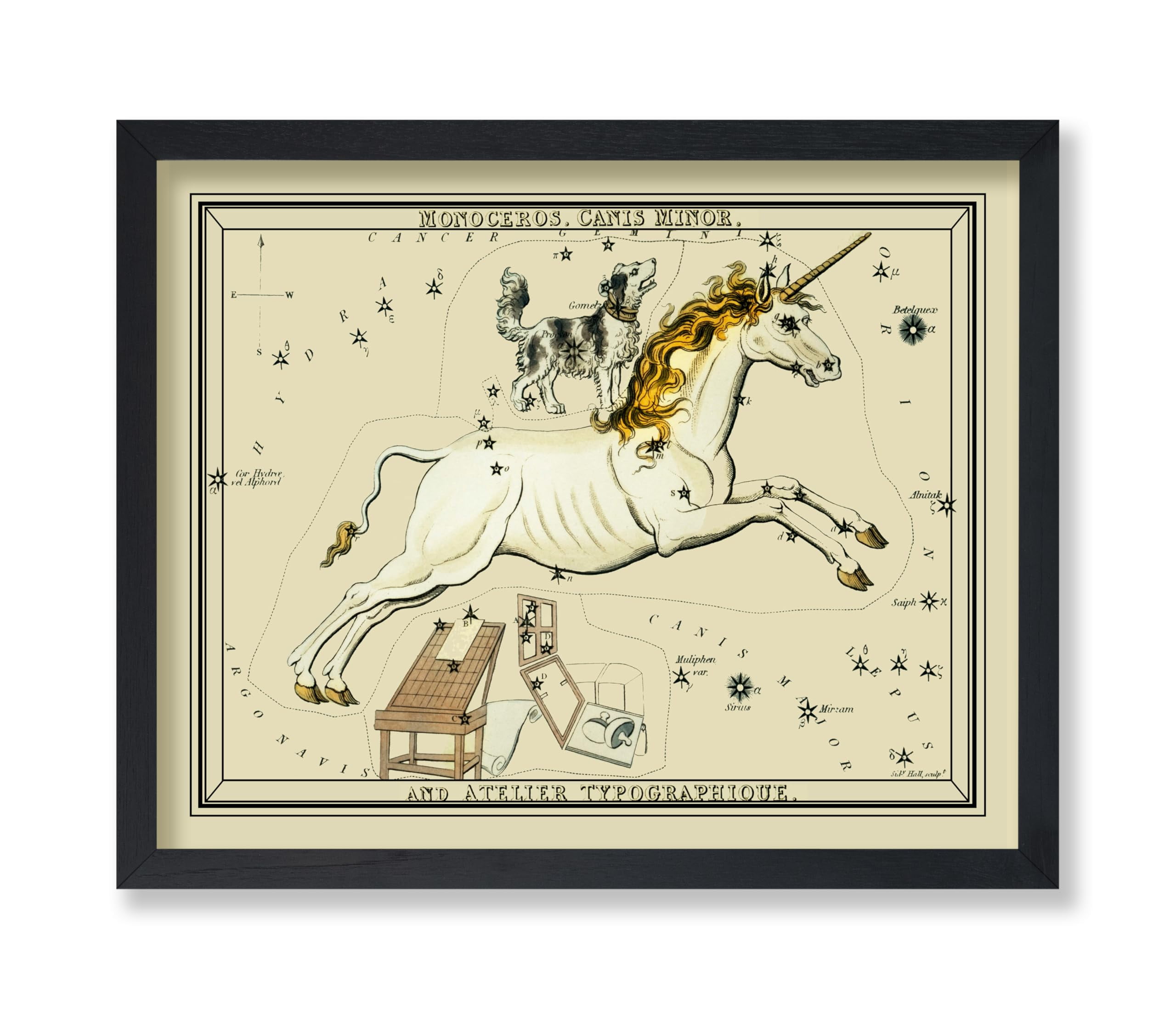 Poster Master Astrology Posters, Taurus Zodiac Constellation Poster ...
