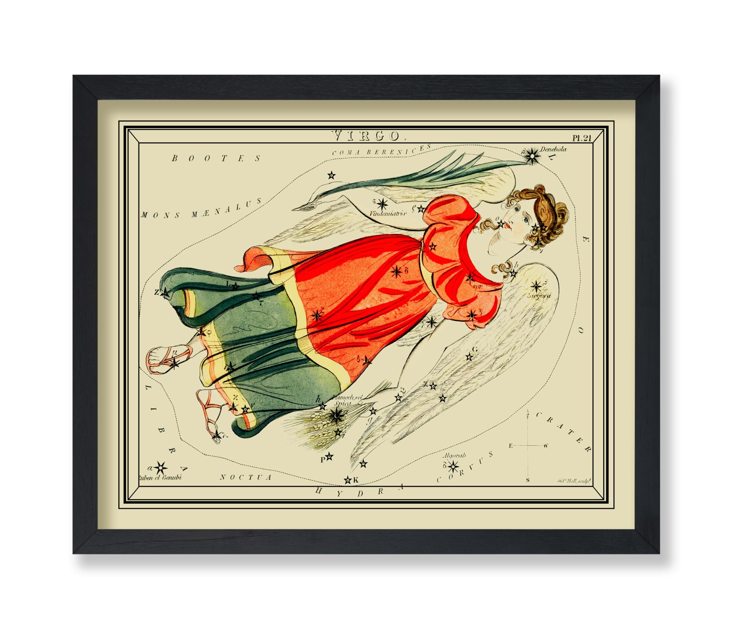Poster Master Astrology Posters, Virgo Zodiac Constellation Poster ...