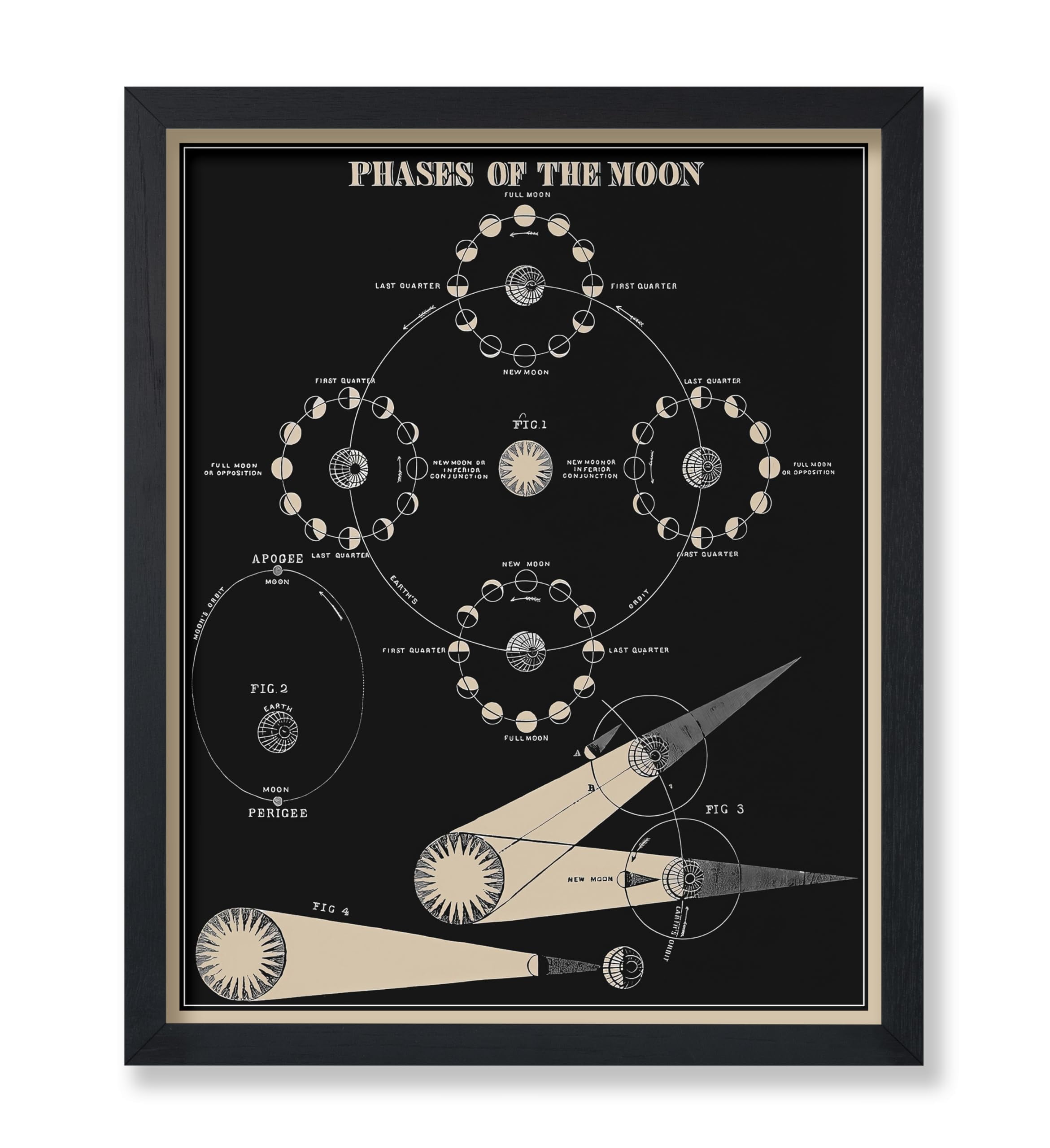 Poster Master Astronomy Moon Phases Wall Art Print, 11x14 Unframed Art ...