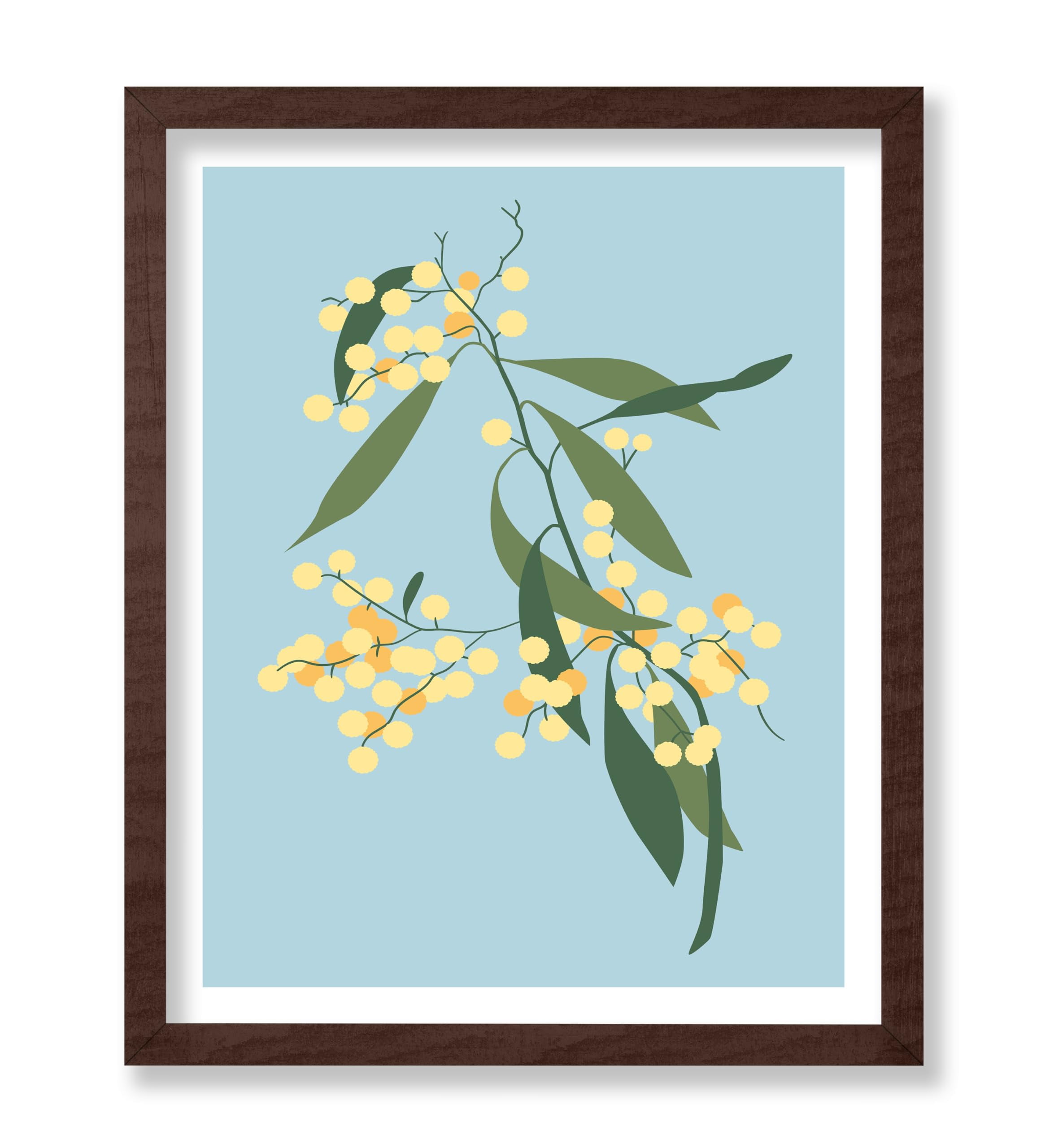 Poster Master Australian Wattle Poster - Retro Golden Wattle Print ...