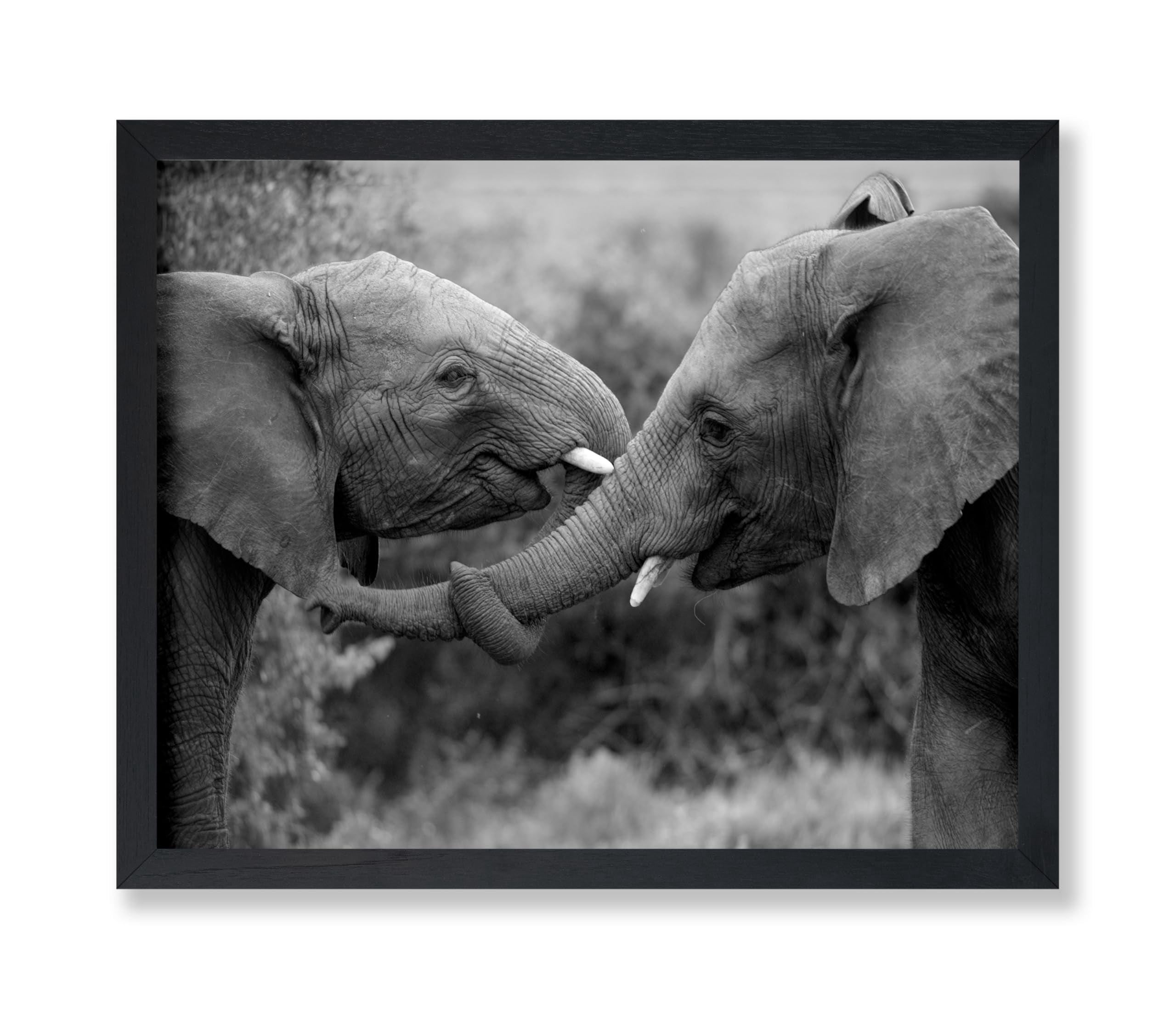 Poster Master Caring Elephants Poster - Wrapping Trunks Print ...