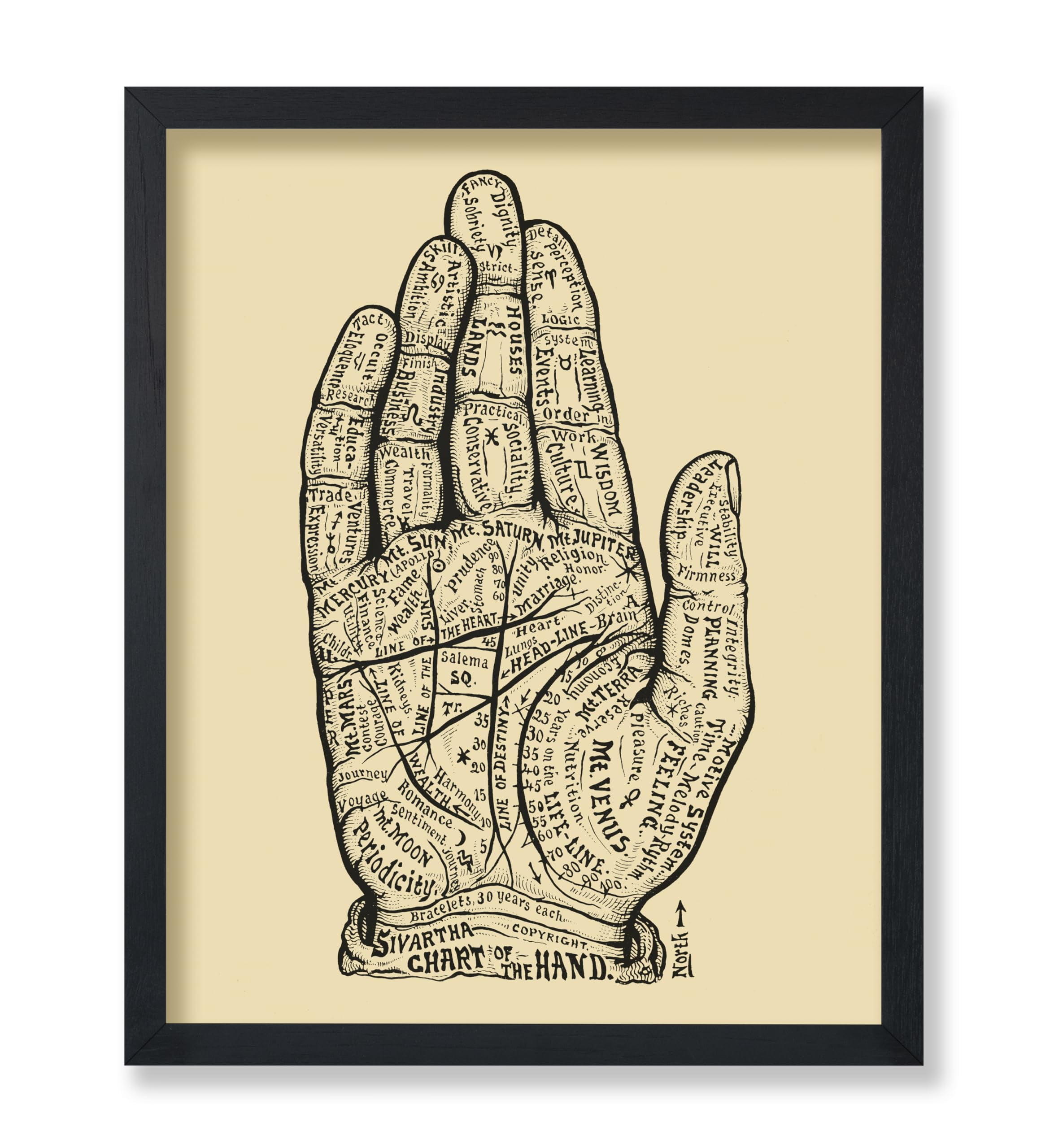 Poster Master Classic Alesha Sivartha Poster - Vintage Anatomy Print ...