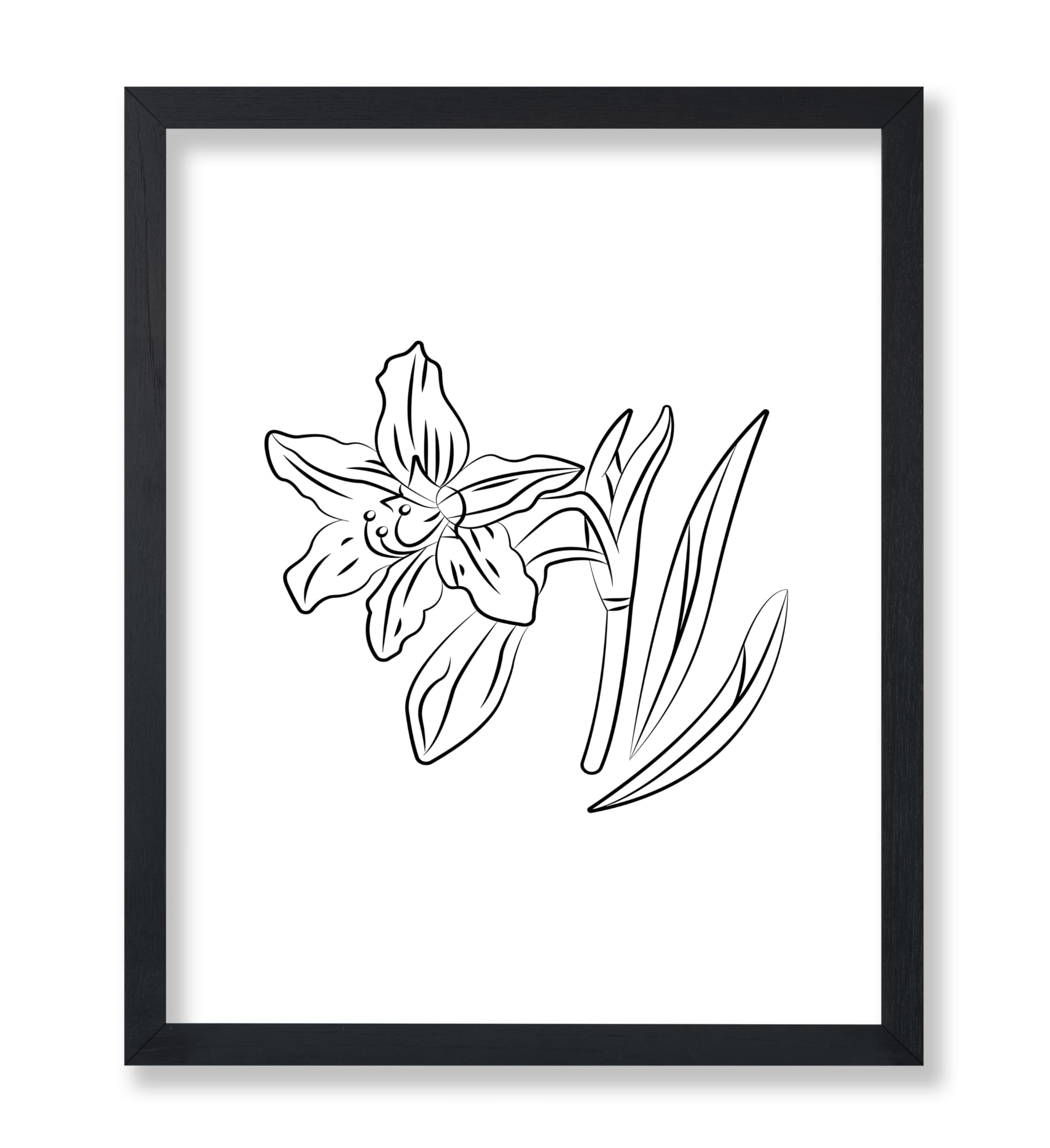 Poster Master Daffodil Poster - Retro Flower Print - Floral Art - Black ...