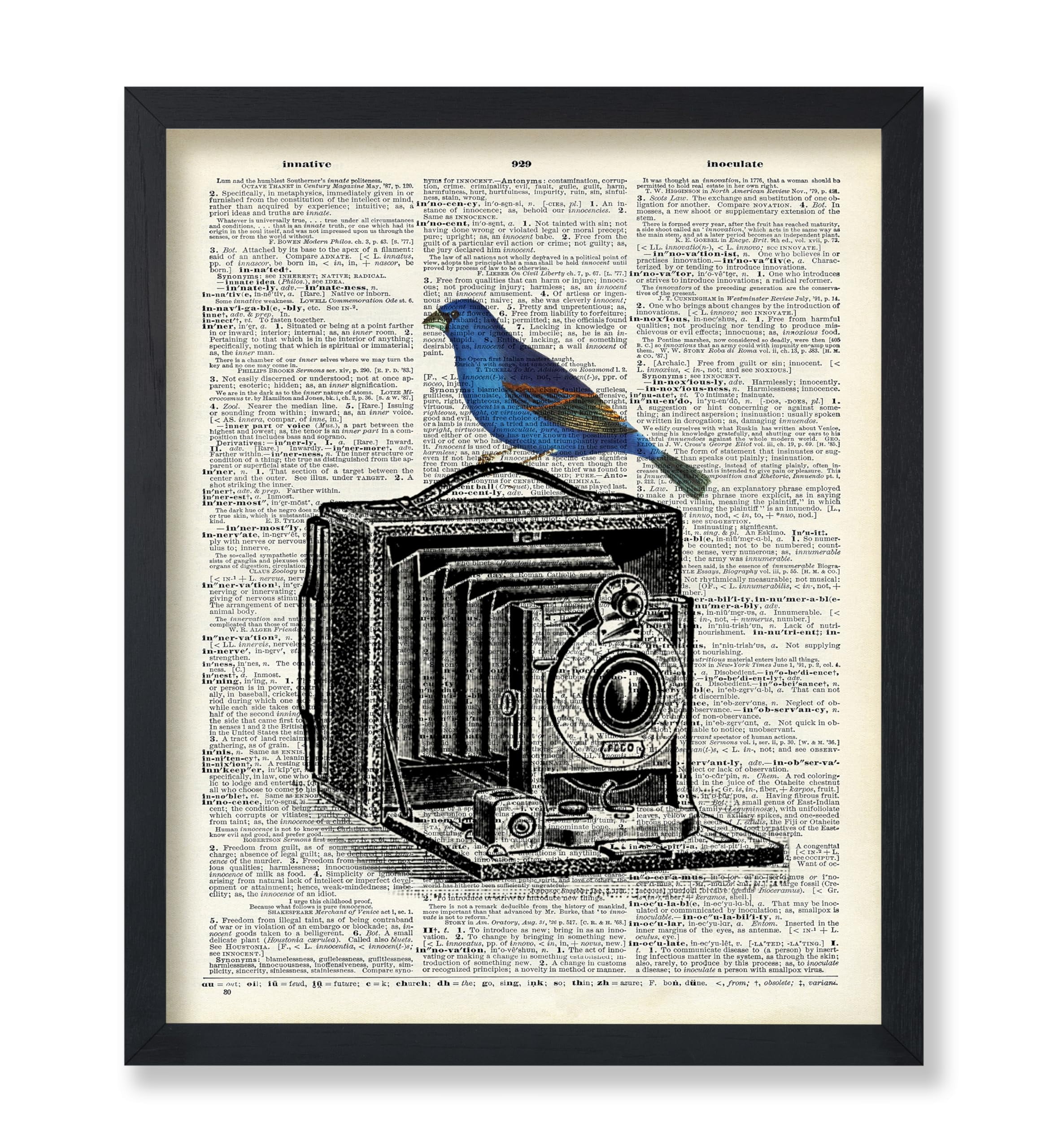 Poster Master Dictionary Art Poster - Antique Camera Print - Bird Art ...