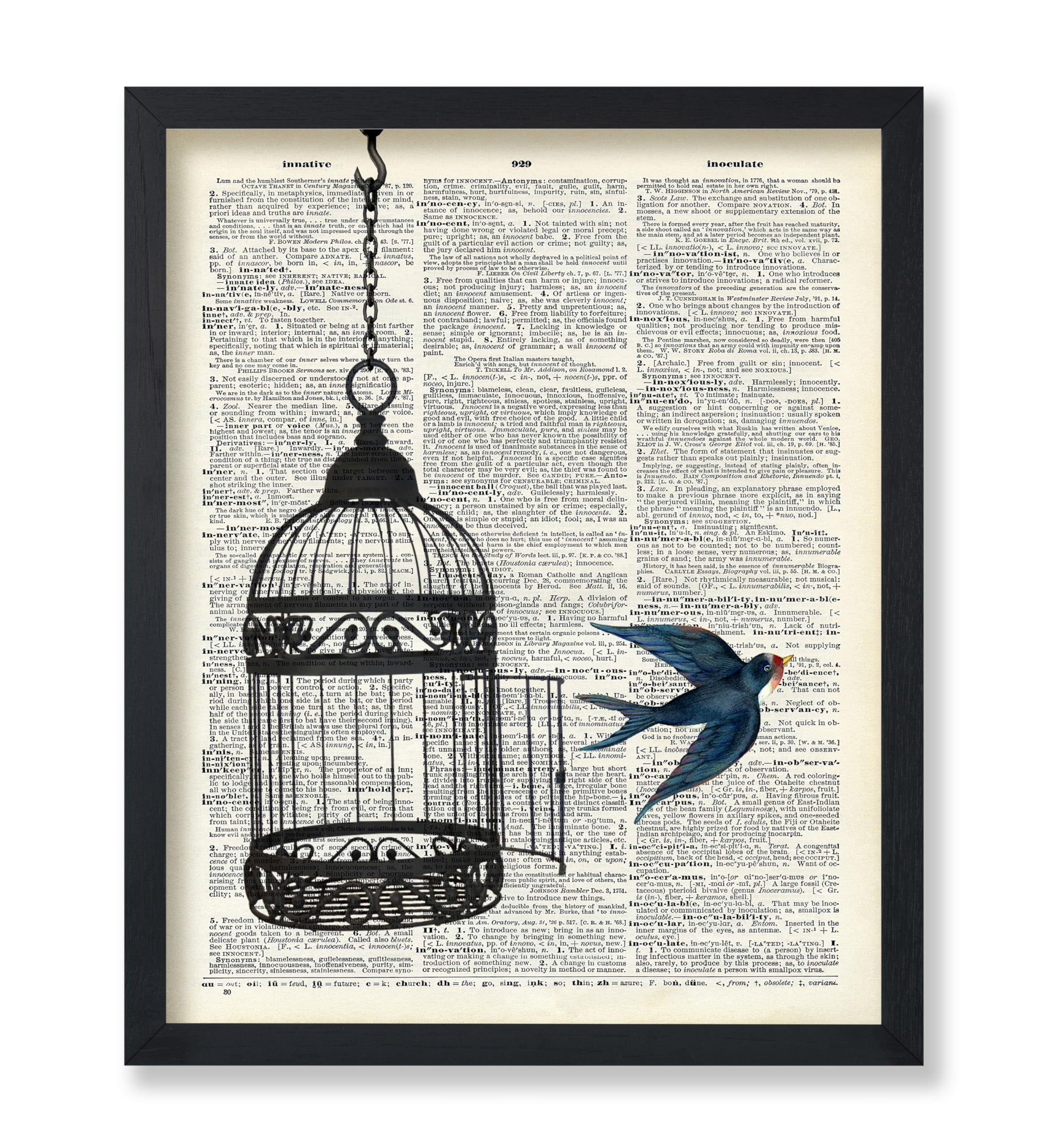 Poster Master Dictionary Art Poster - Bird Cage Print - Flying Swallow ...