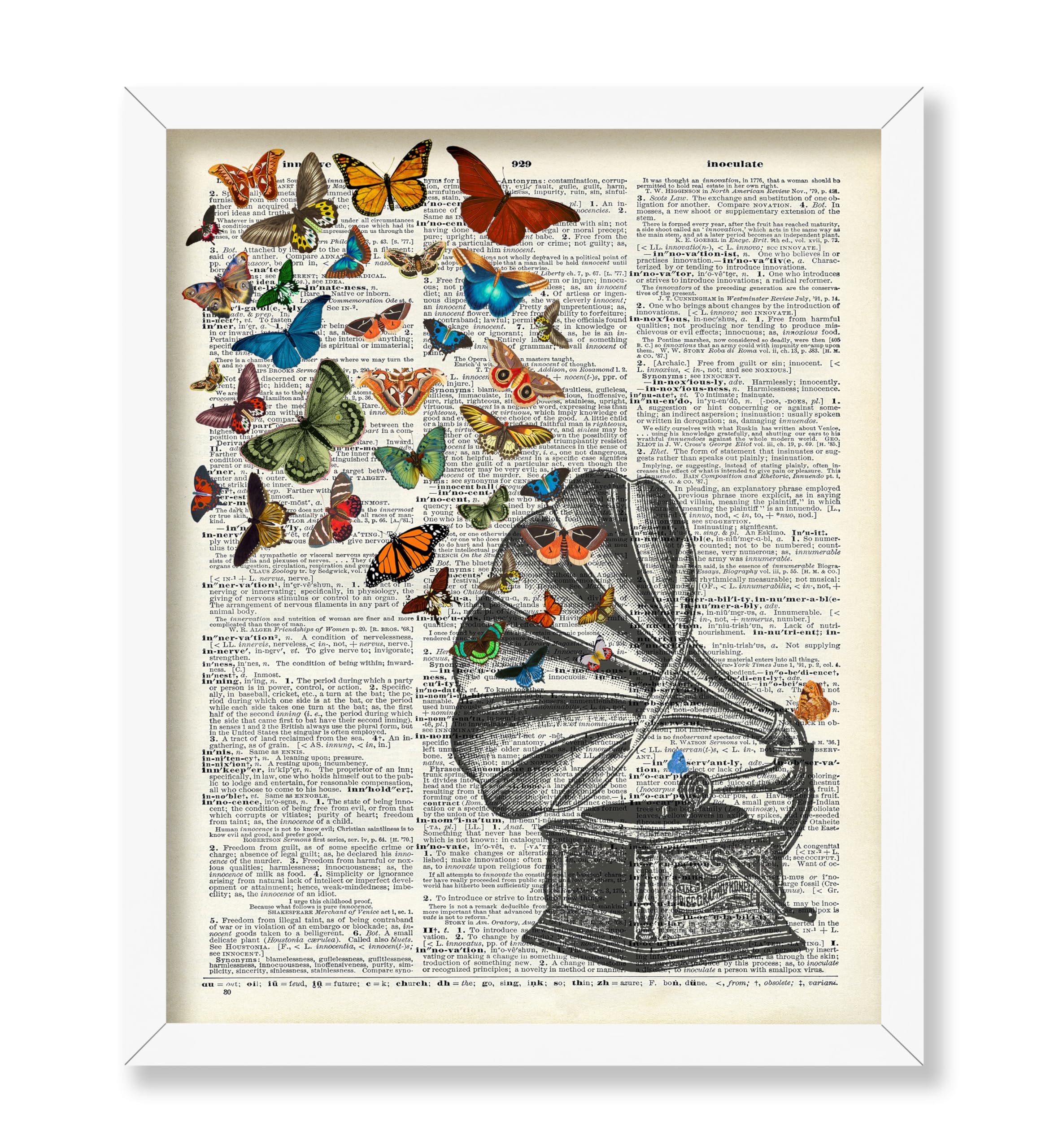 Poster Master Dictionary Art Poster - Butterflies Phonograph Print - Butterfly Art - Phonograph ...