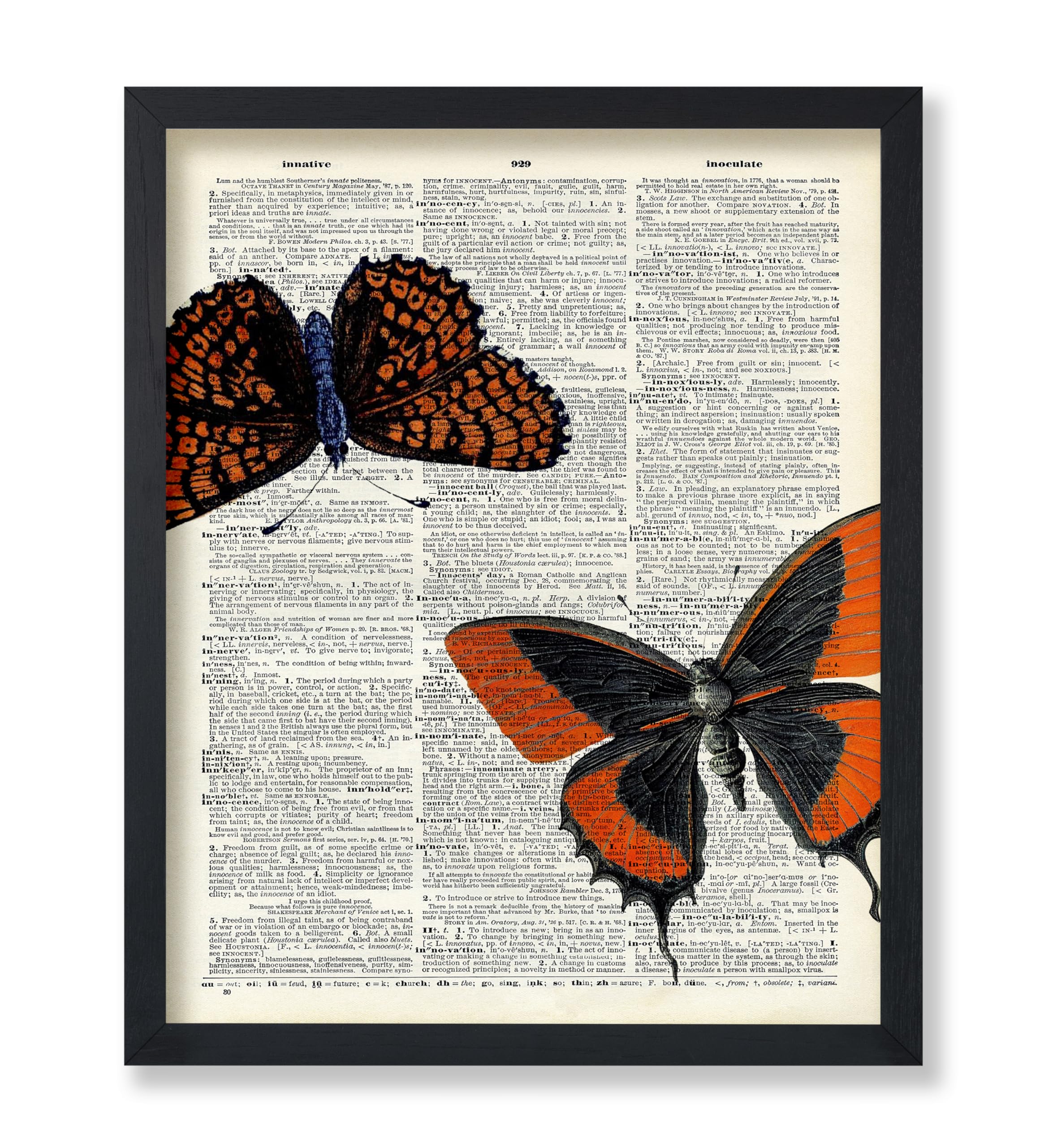 Poster Master Dictionary Art Poster - Butterflies Print - Moth Art ...