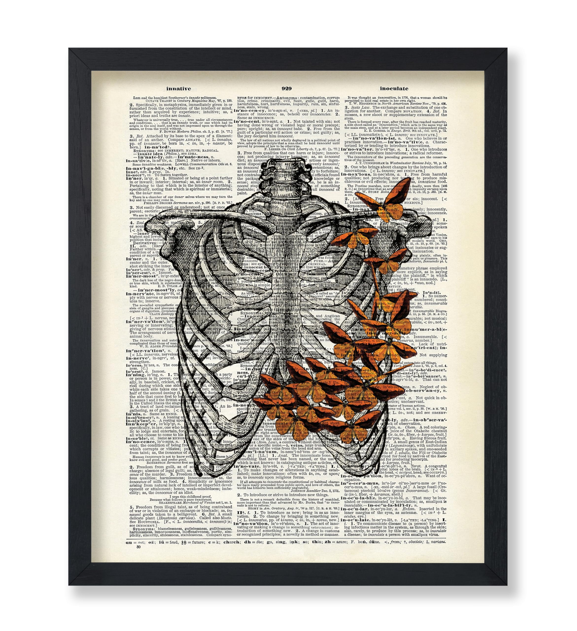 Poster Master Dictionary Art Poster - Butterflies and Ribcage Print ...