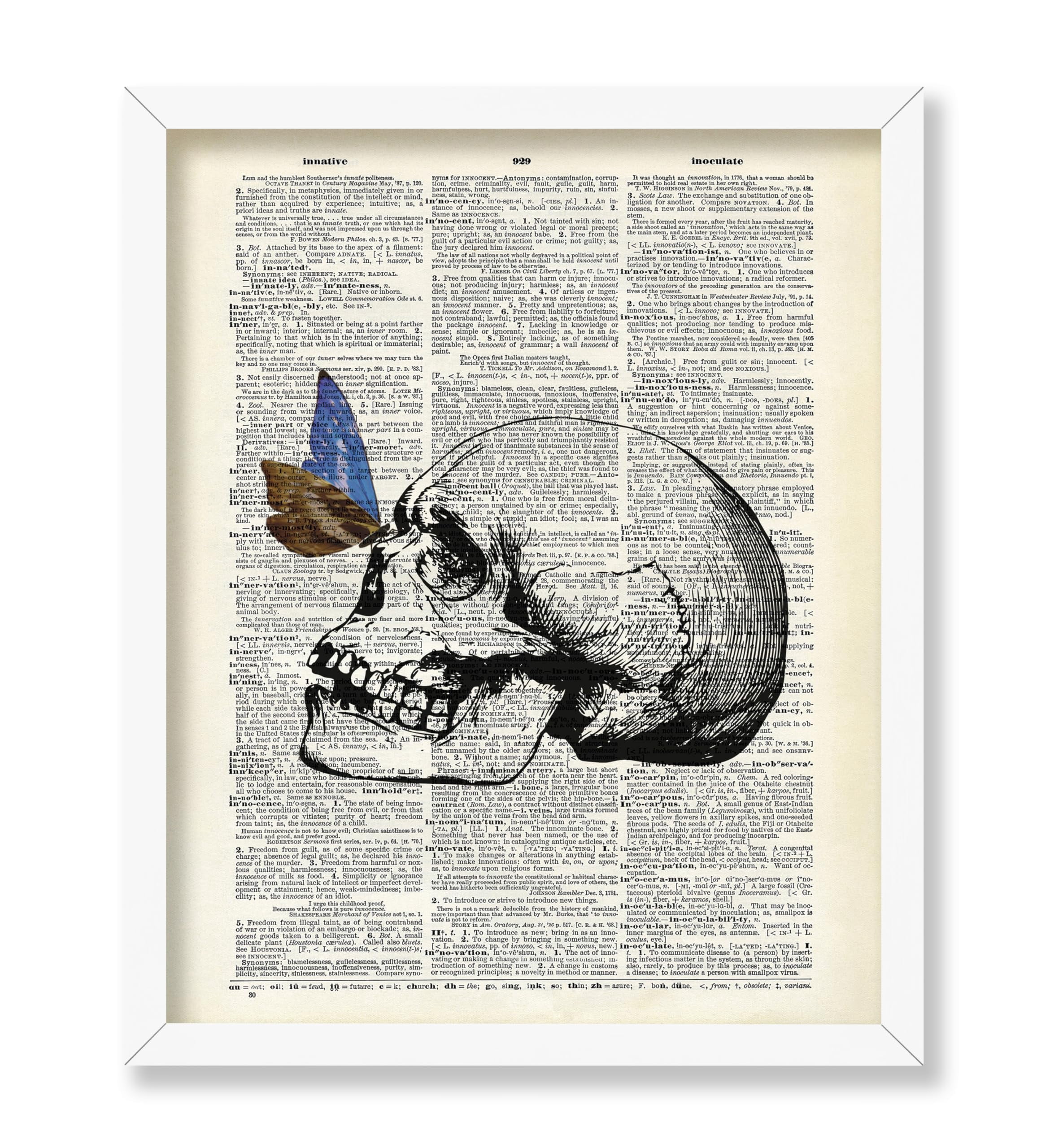 Poster Master Dictionary Art Poster - Butterfly on Skull Print ...