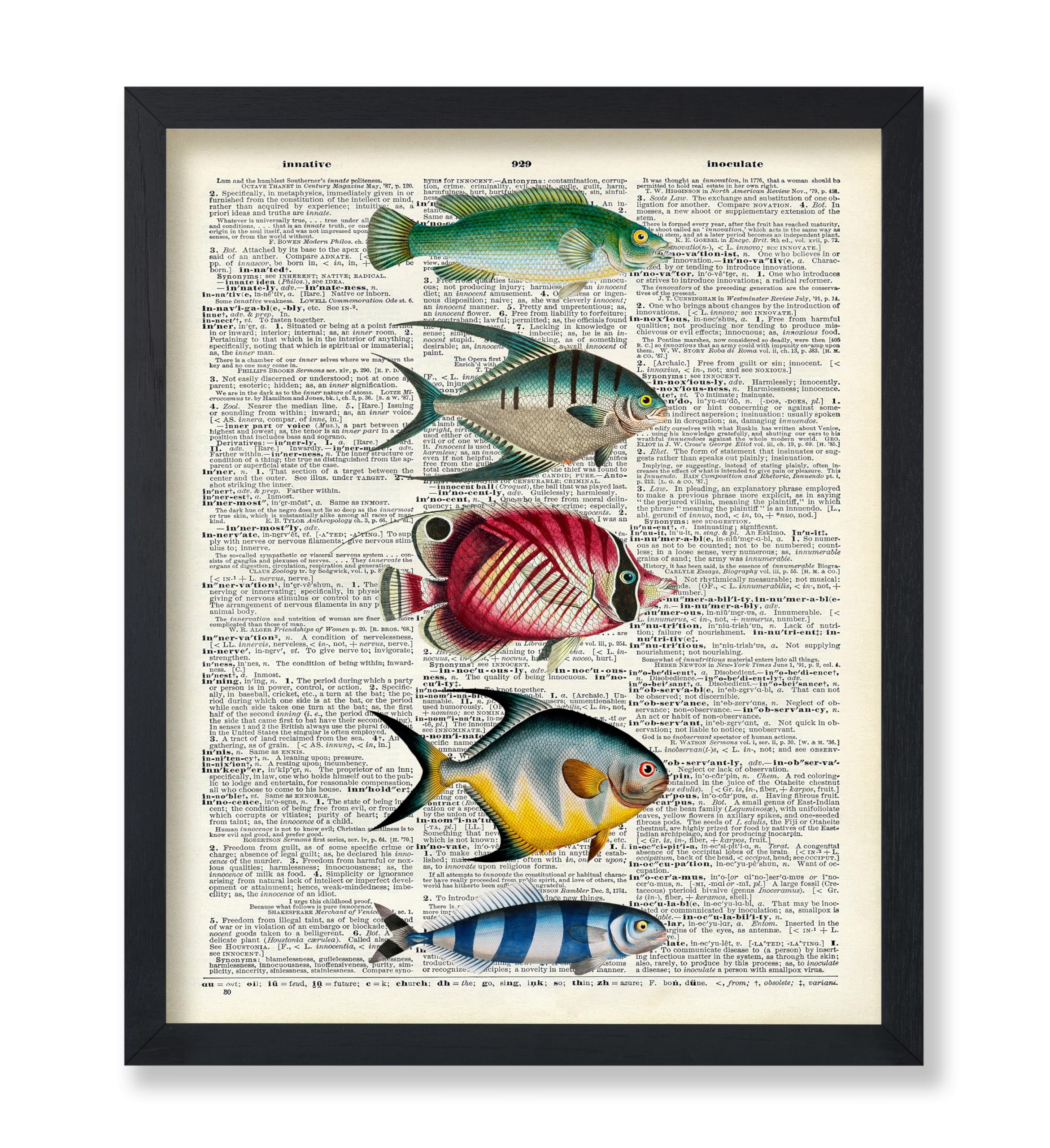 Poster Master Dictionary Art Poster - Fish Print - Marine Life Art ...