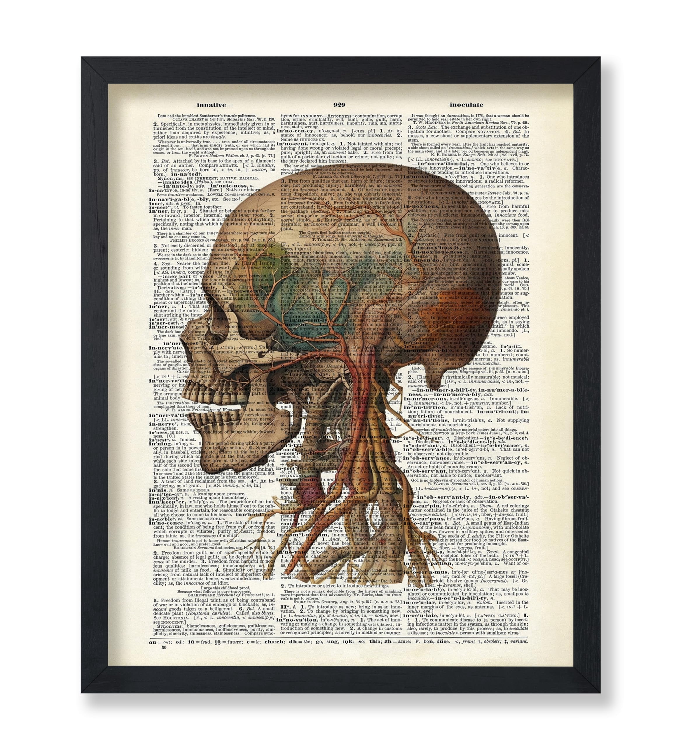 Poster Master Dictionary Art Poster - Head and Neck Print - Anatomical ...