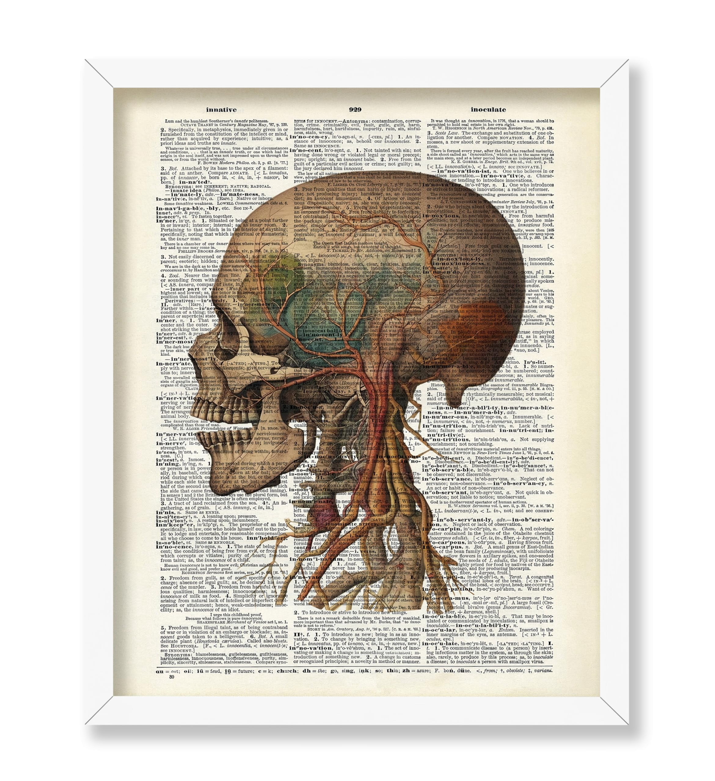 Poster Master Dictionary Art Poster - Head and Neck Print - Anatomical ...