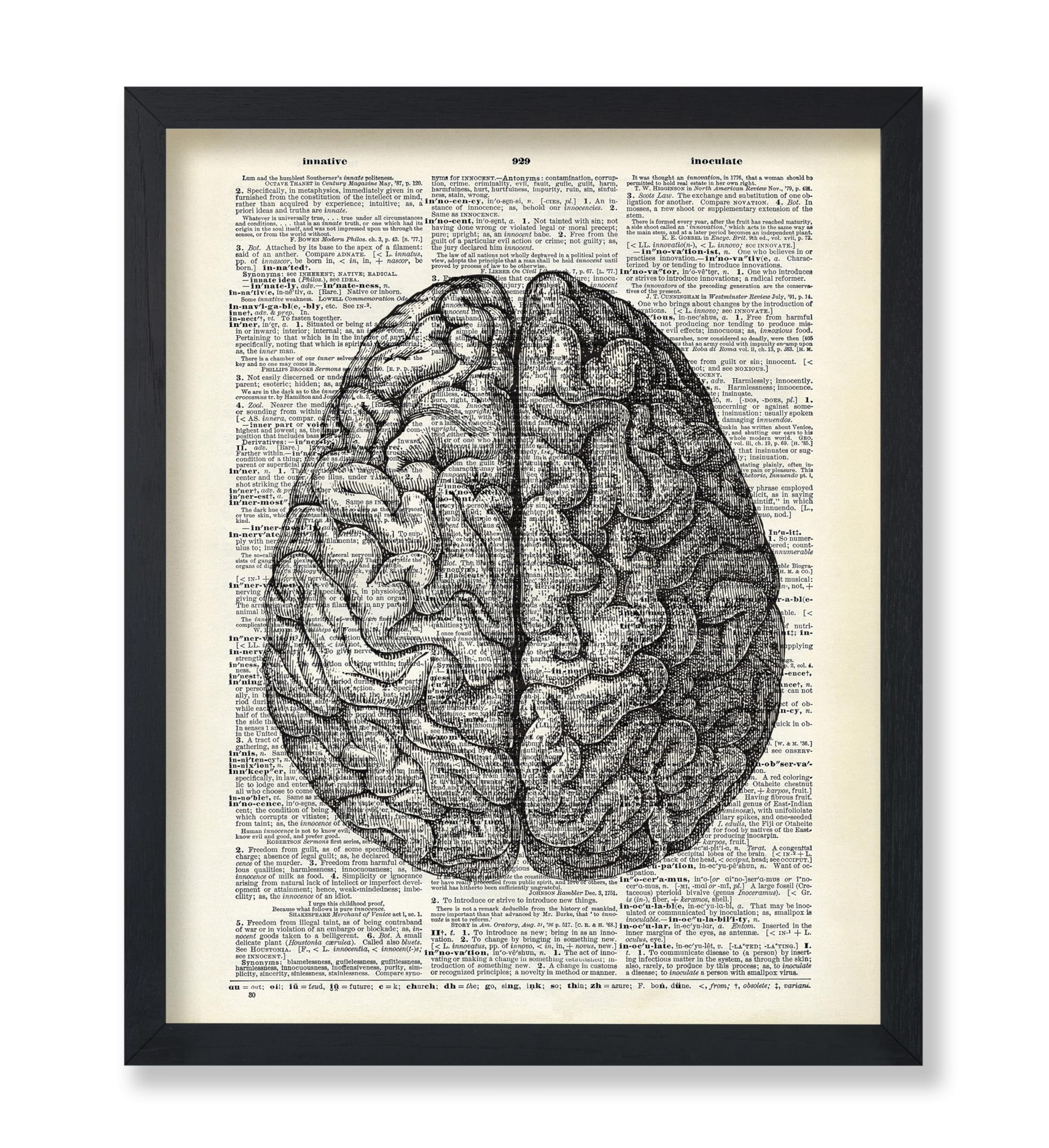 Poster Master Dictionary Art Poster - Human Brain Print - Anatomical ...