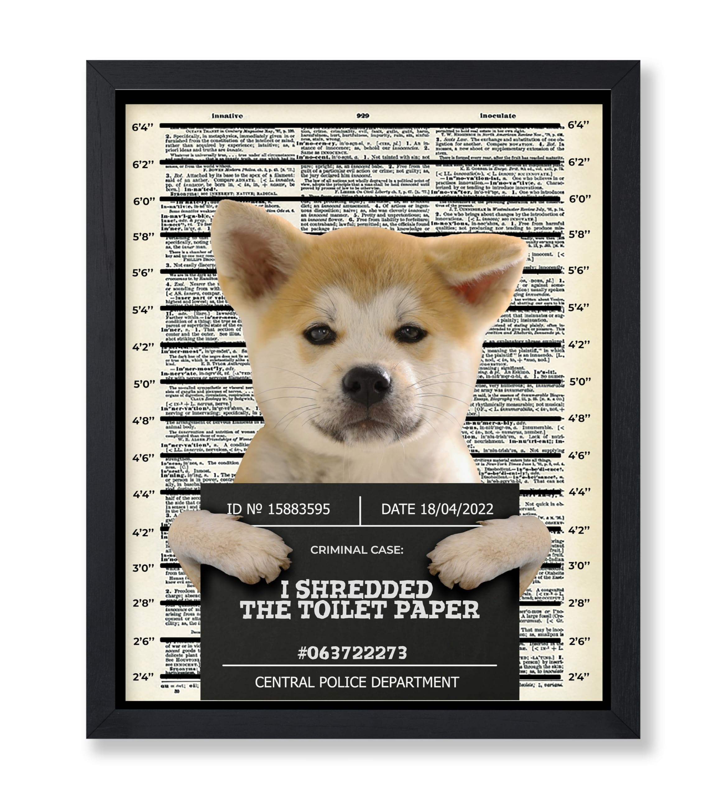Poster Master Dictionary Art Poster - I Shredded the Toilet Paper Print ...