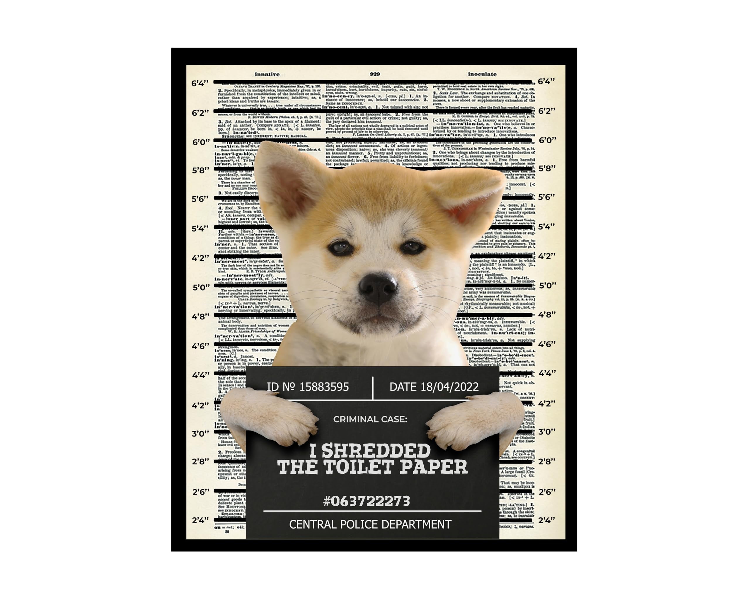Poster Master Dictionary Art Poster - I Shredded the Toilet Paper Print ...