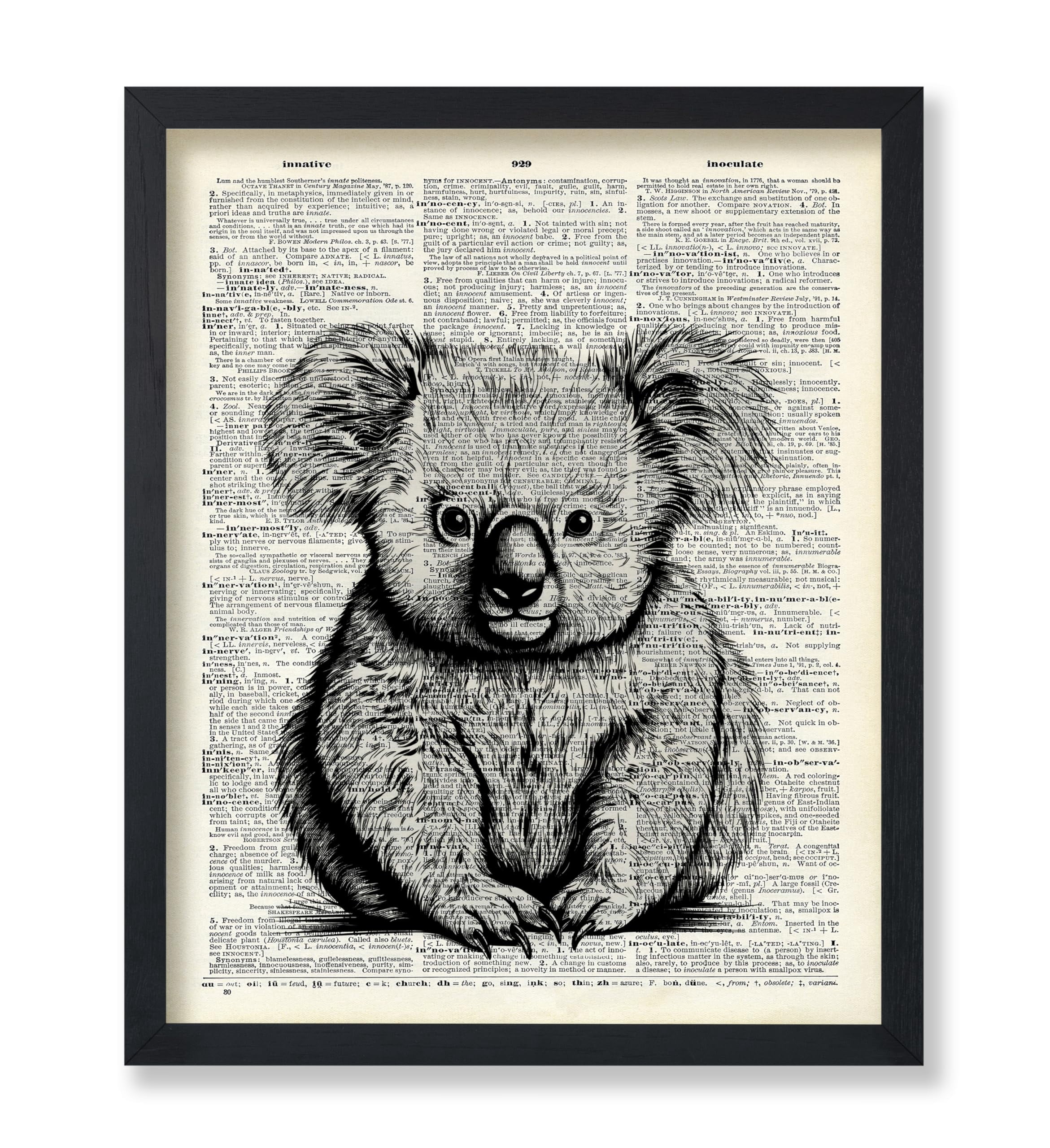Poster Master Dictionary Art Poster - Koala Bear Print - Koala Art ...
