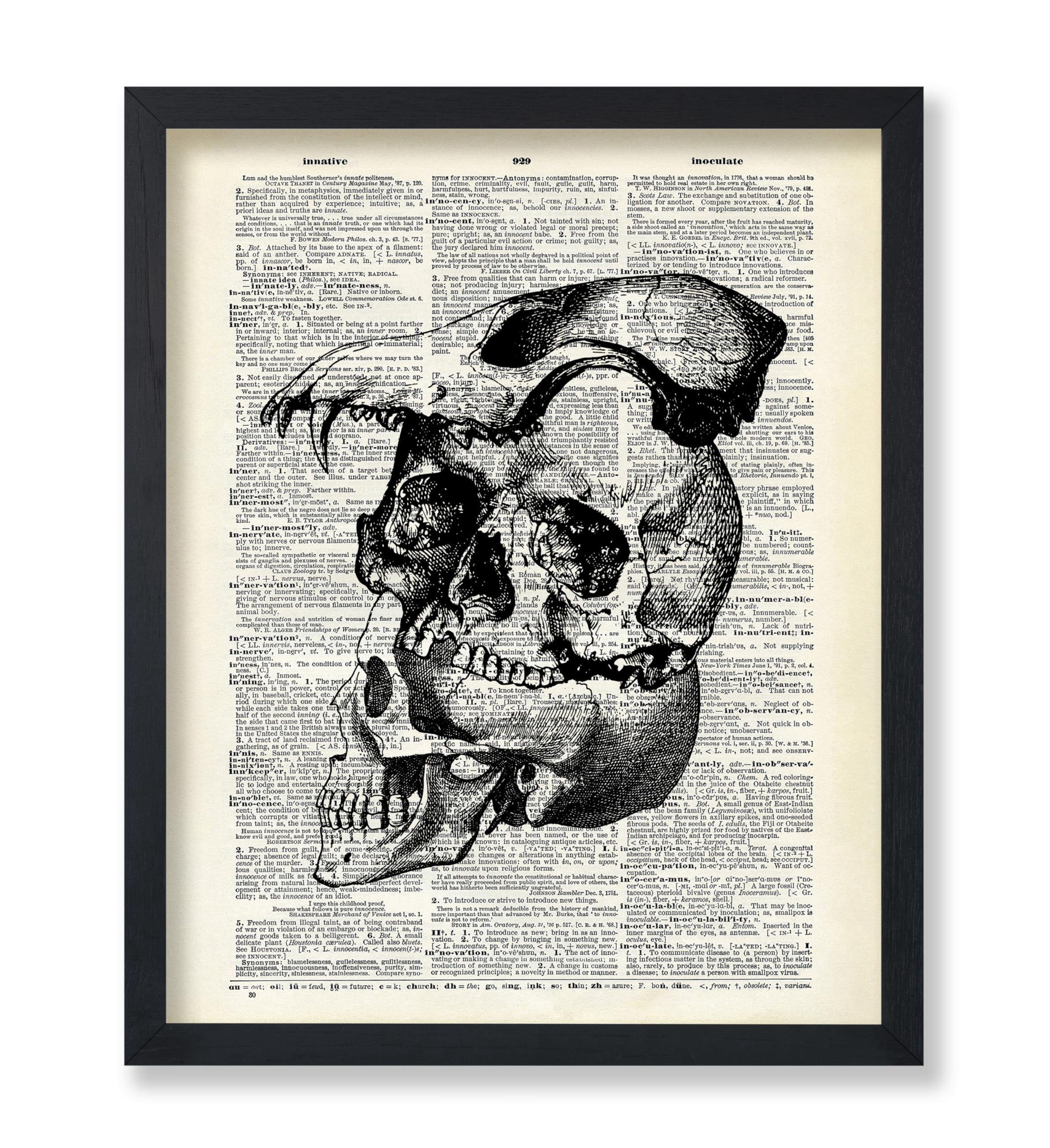 Poster Master Dictionary Art Poster - Layered Skull Print - Skeleton ...