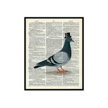 Homing Pigeon in Studio, Animals Unframed Photographic Print Wall Art ...