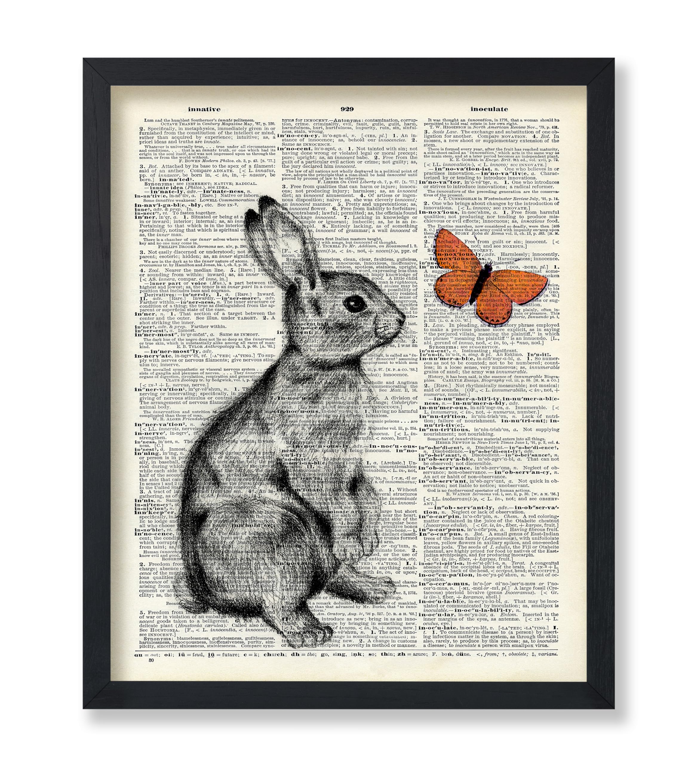 Poster Master Dictionary Art Poster - Rabbit and Butterfly Print ...