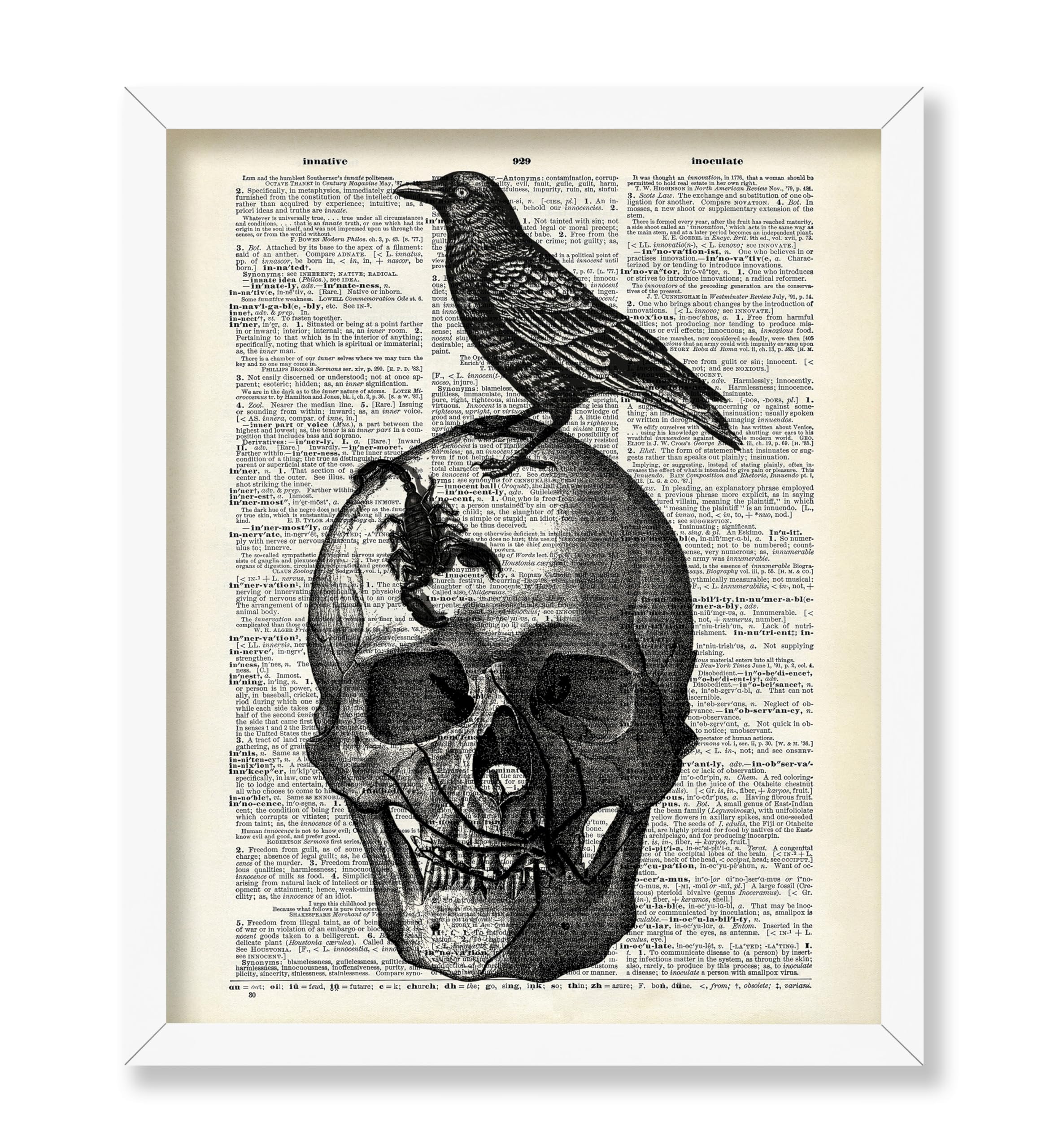 Poster Master Dictionary Art Poster - Raven on Skull Print - Skeleton ...