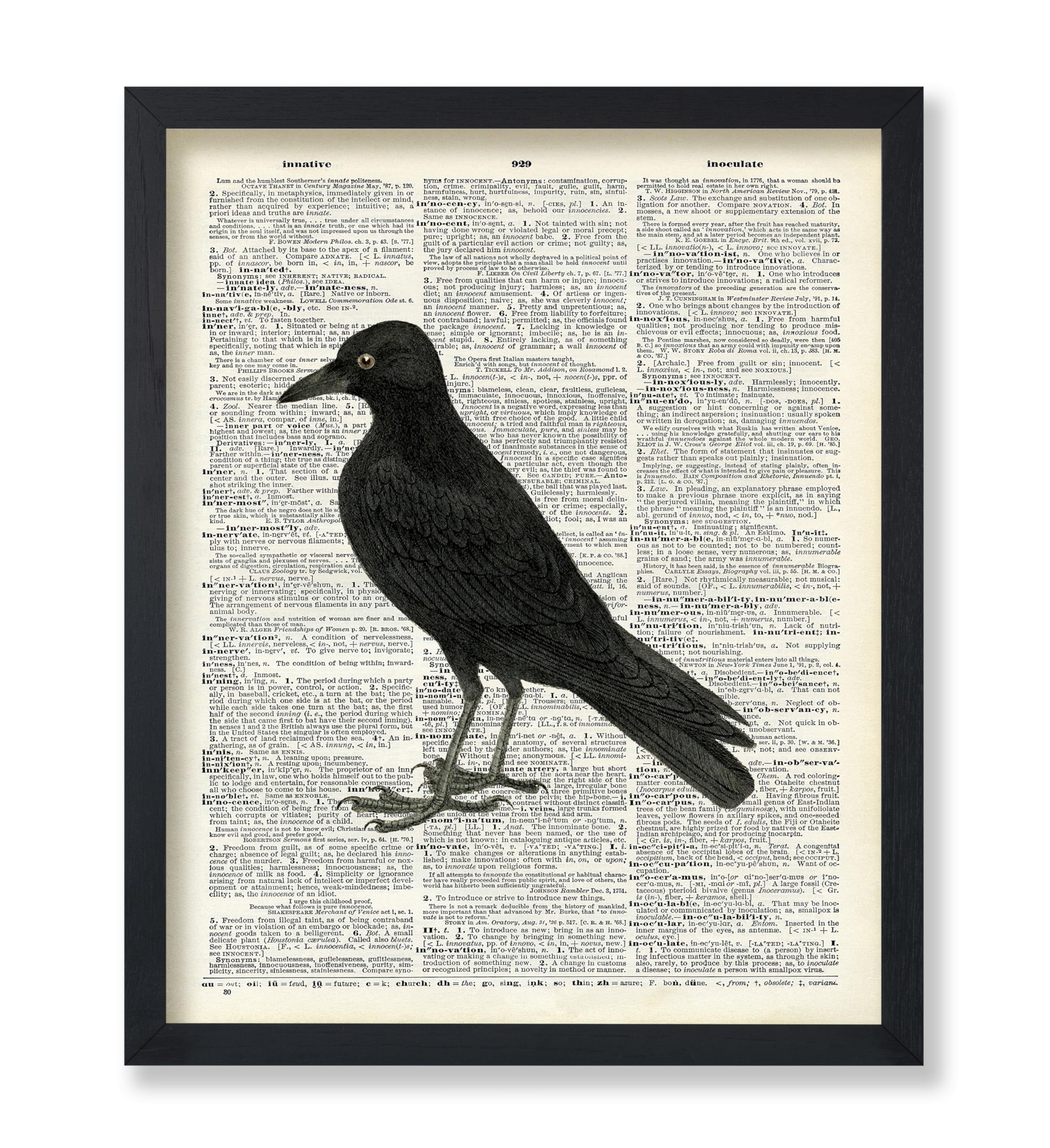 Poster Master Dictionary Art Poster - Retro Crow Print - Bird Art ...
