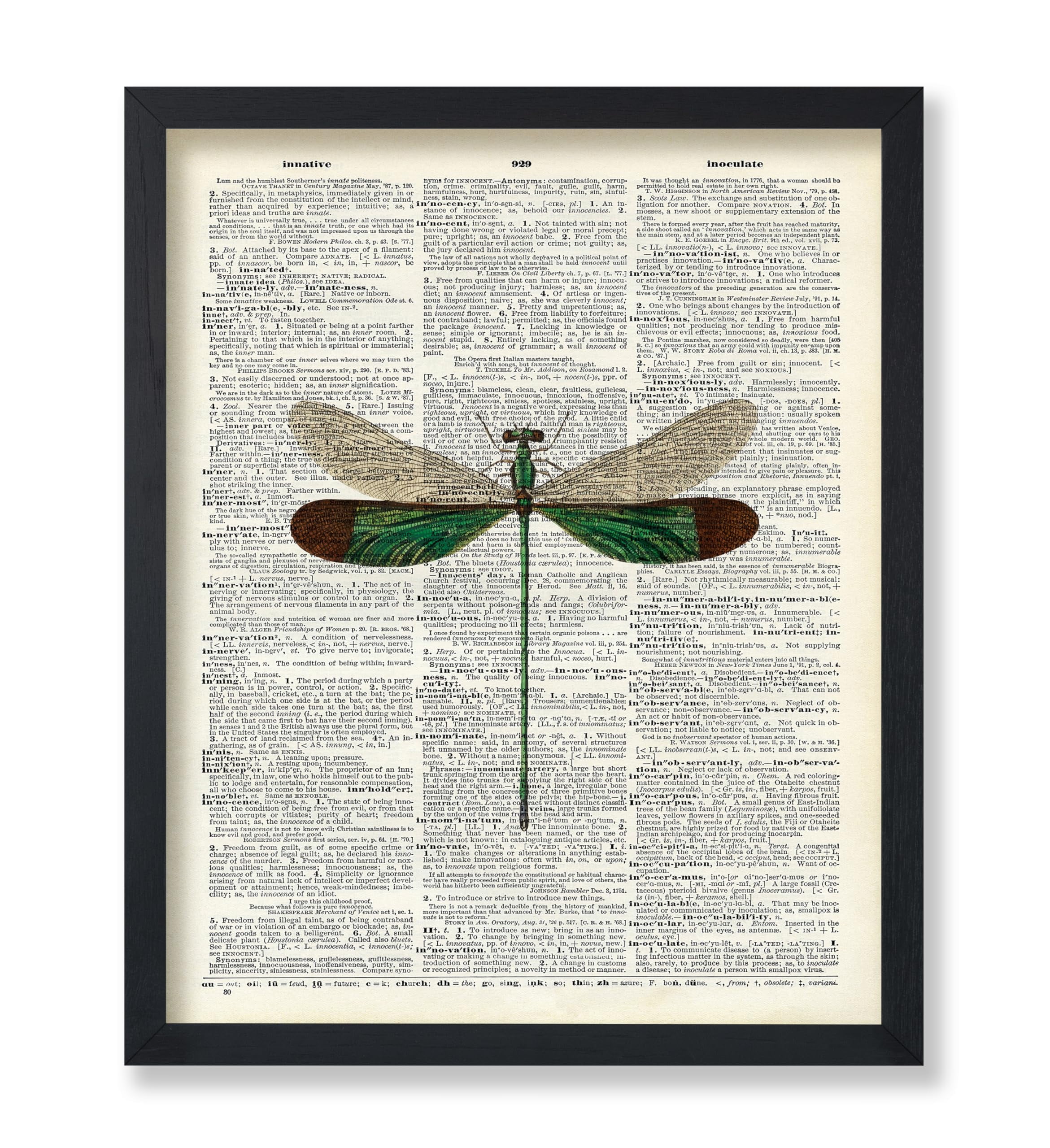 Poster Master Dictionary Art Poster - Retro Dragonfly Print - Insect ...
