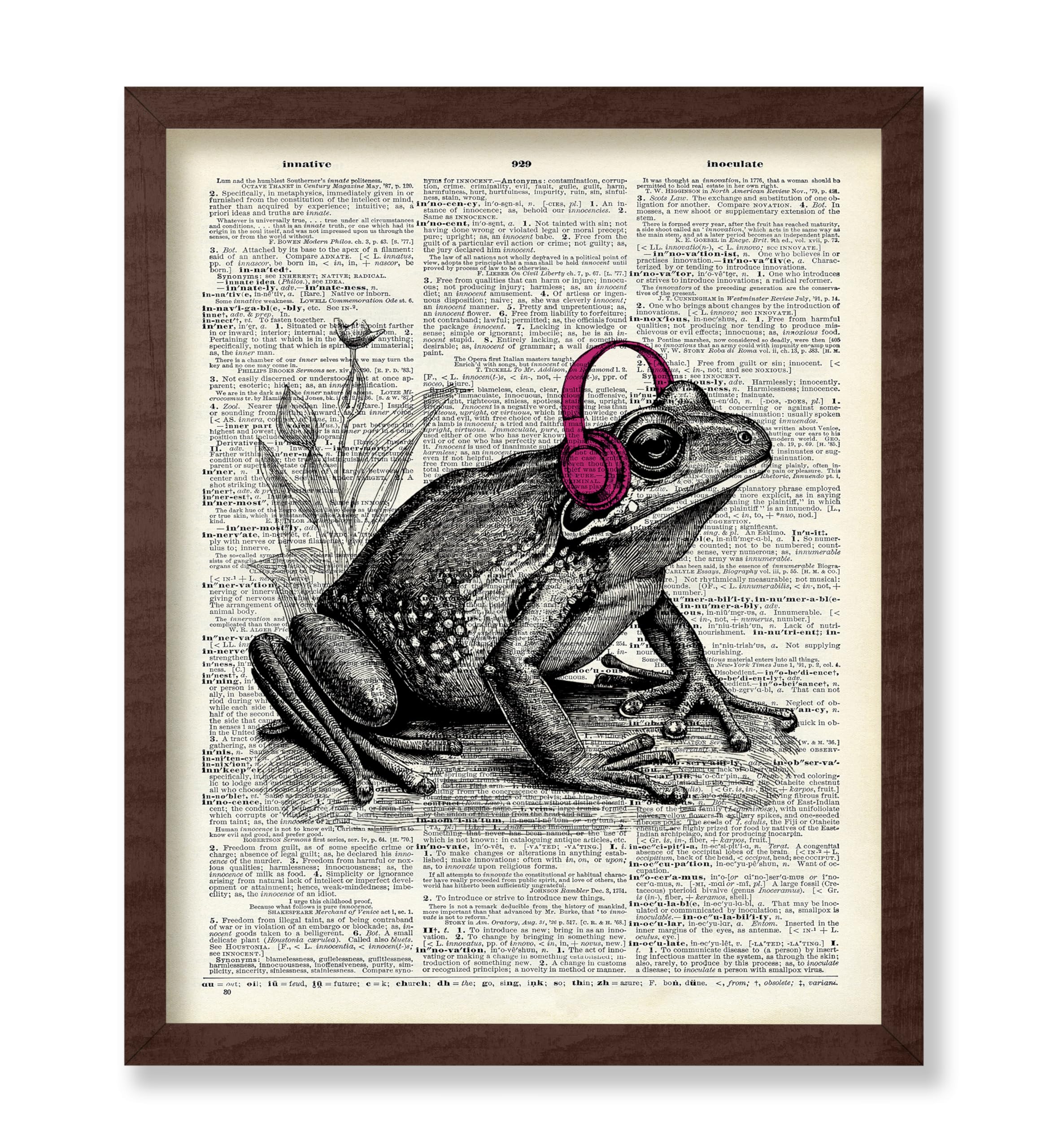 Poster Master Dictionary Art Poster - Retro Frog With Headphones Print ...