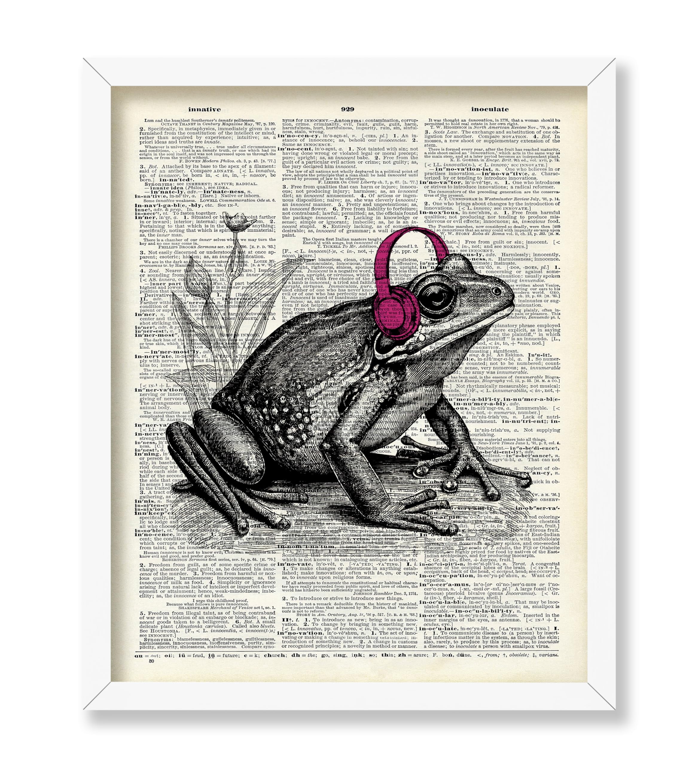 Poster Master Dictionary Art Poster - Retro Frog With Headphones Print ...