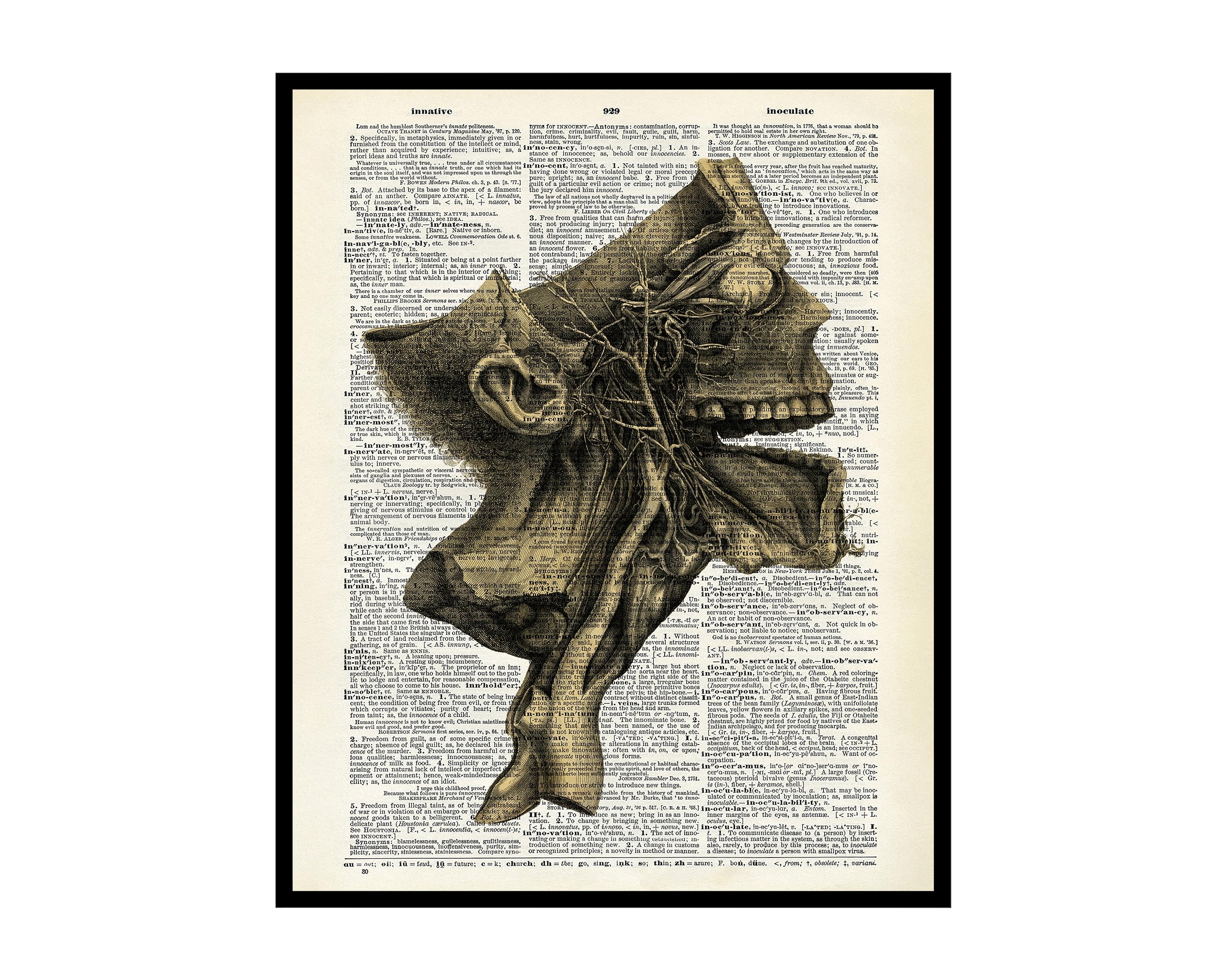 Poster Master Dictionary Art Poster - Retro Human Skull Print - Anatomy ...