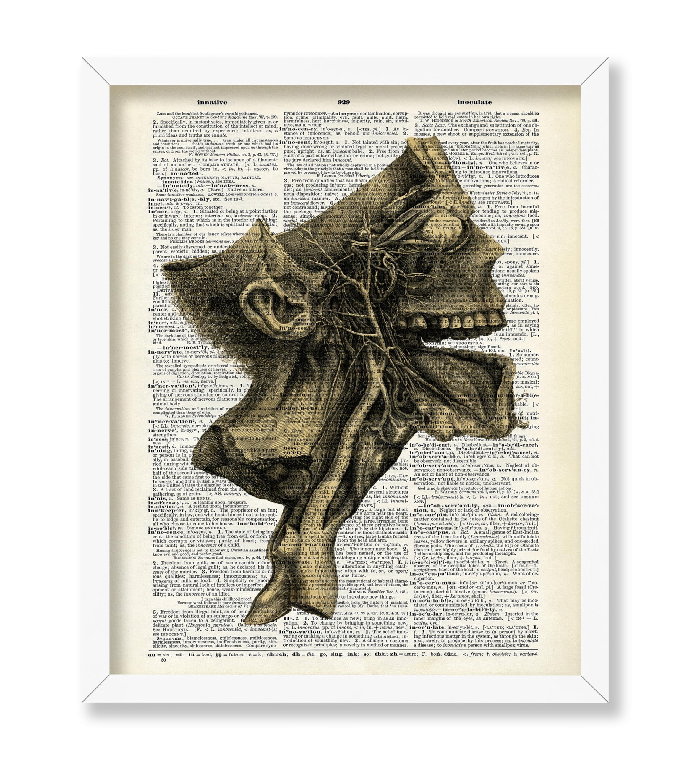 Poster Master Dictionary Art Poster - Retro Human Skull Print - Anatomy ...