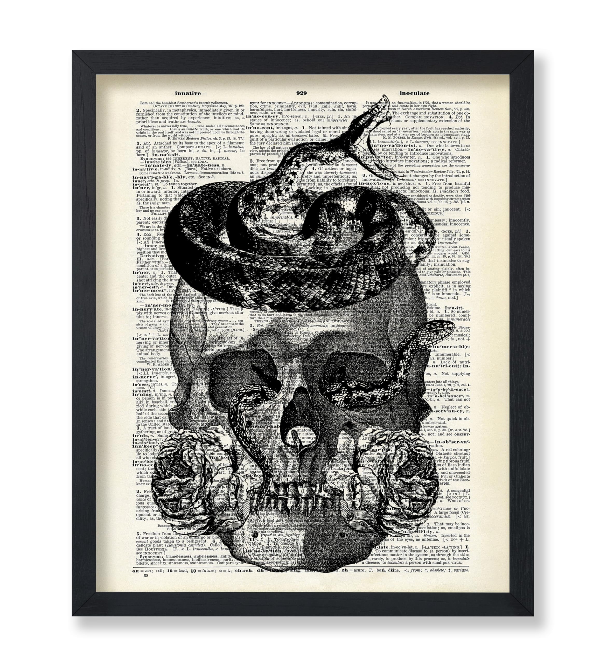 Poster Master Dictionary Art Poster - Skull Snakes and Roses Print ...
