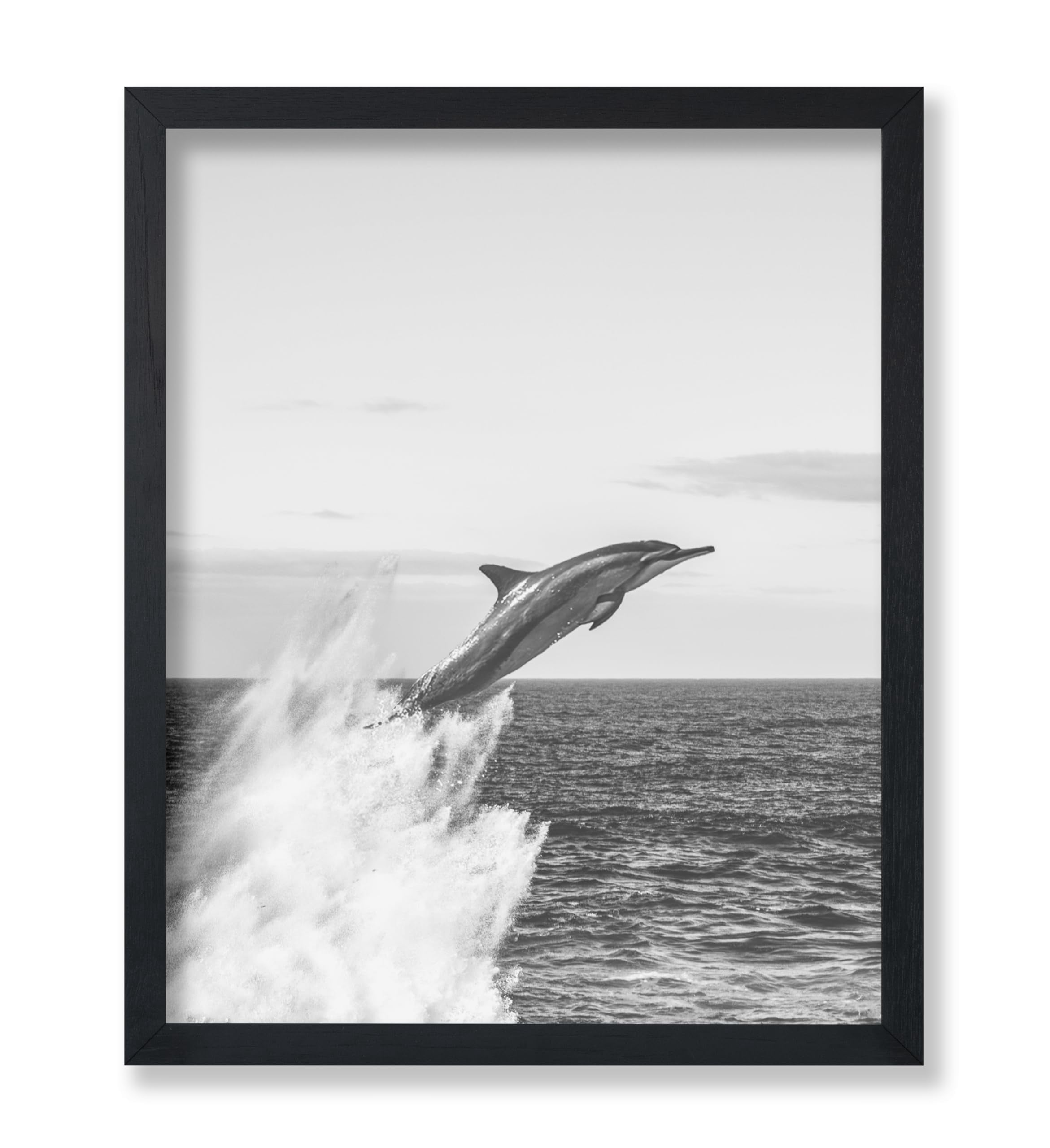 Poster Master Dolphin Poster - Jumping Dolphin Print - Animal Art ...