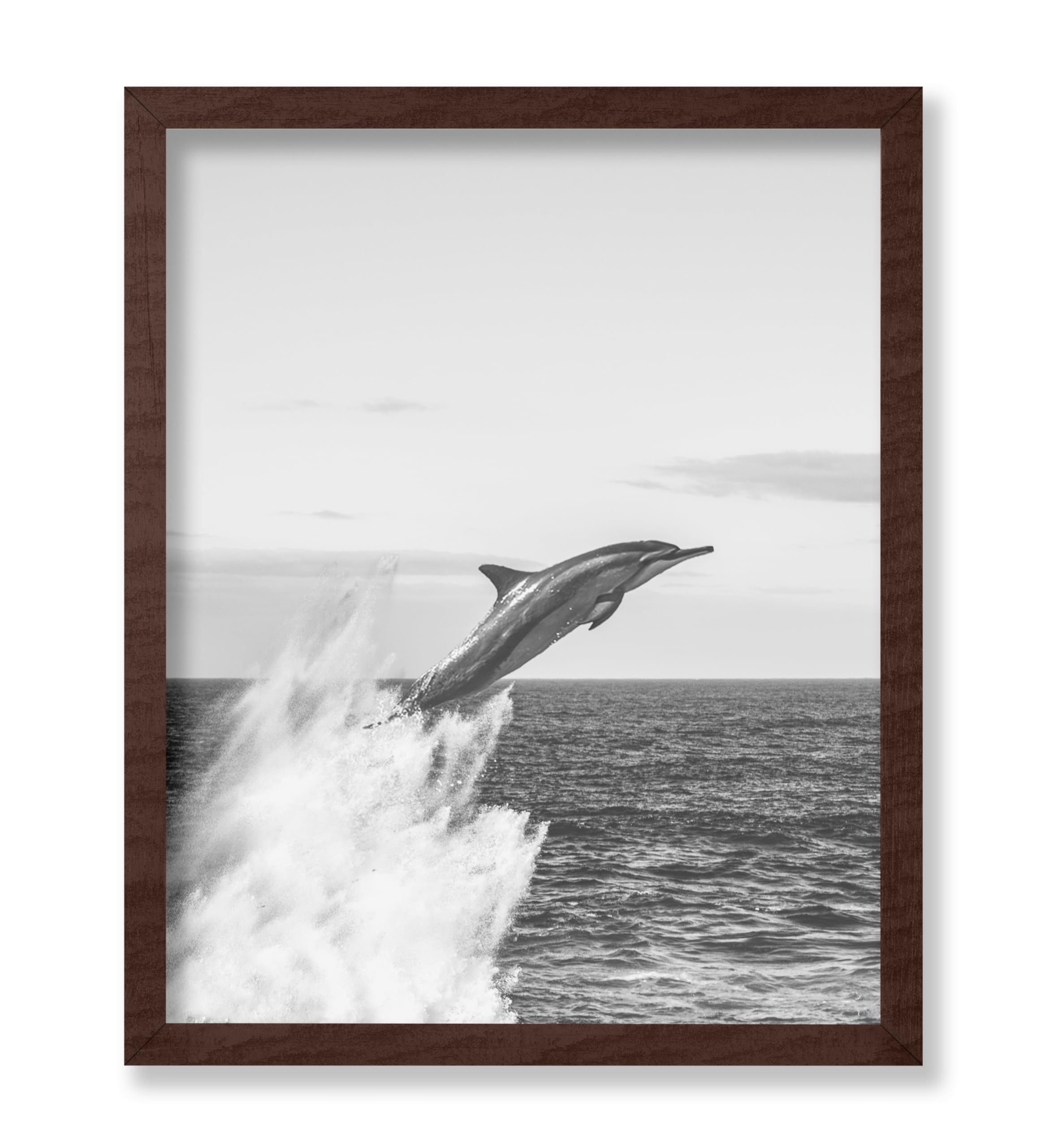 Poster Master Dolphin Poster - Jumping Dolphin Print - Animal Art ...