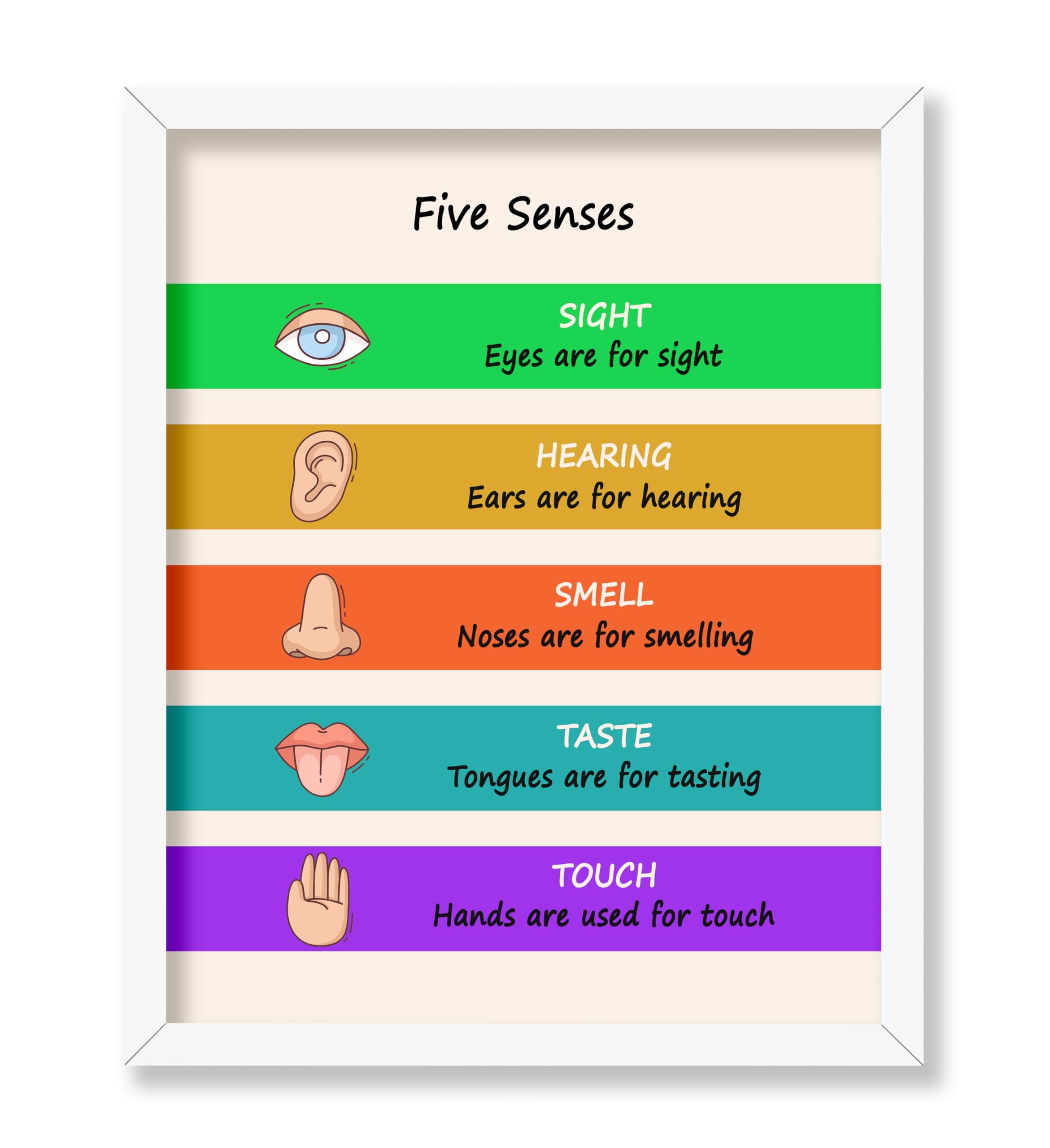Poster Master Five Senses Poster - Senses Chart Print - Educational Art ...
