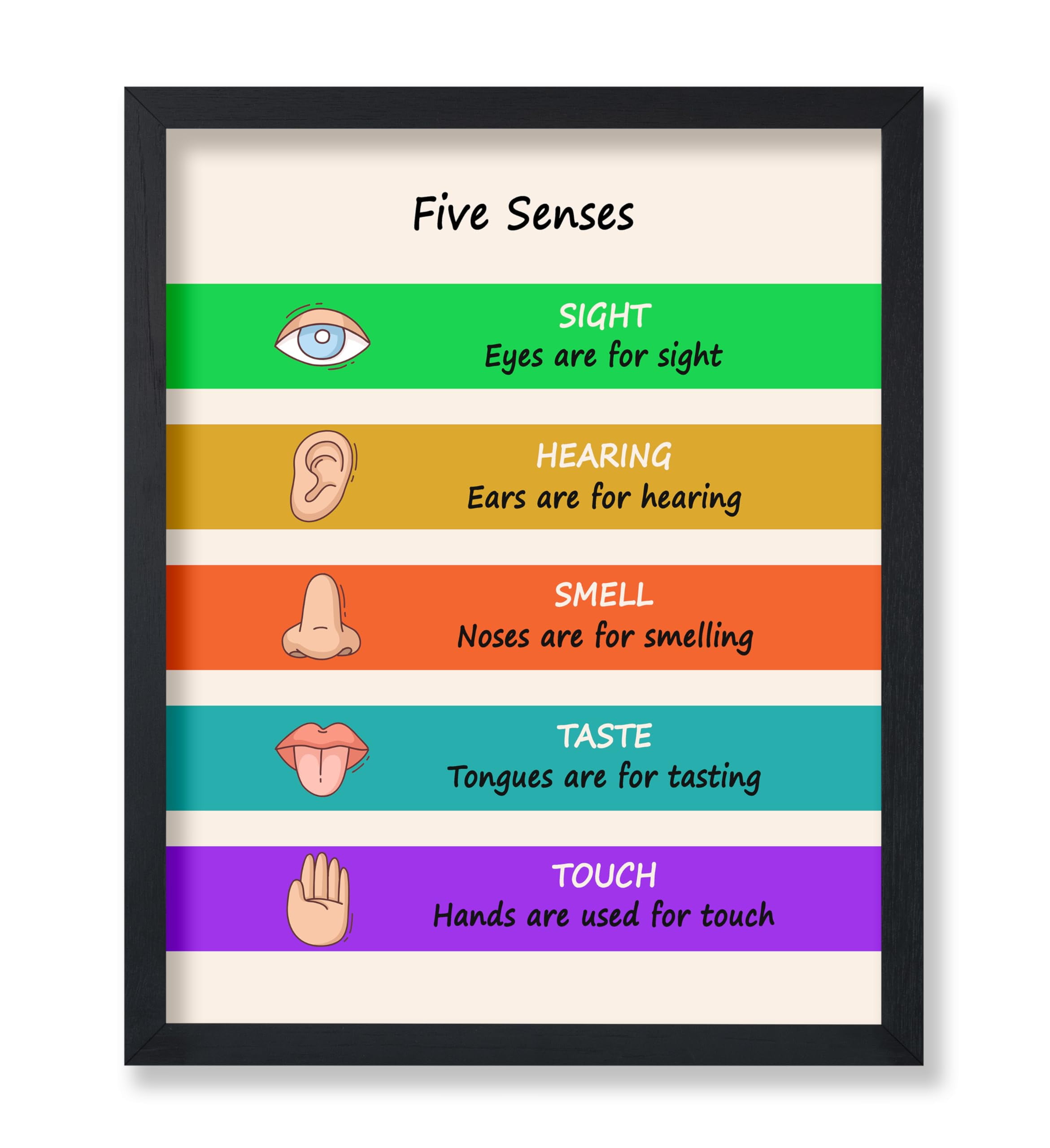 Poster Master Five Senses Poster - Senses Chart Print - Educational Art ...