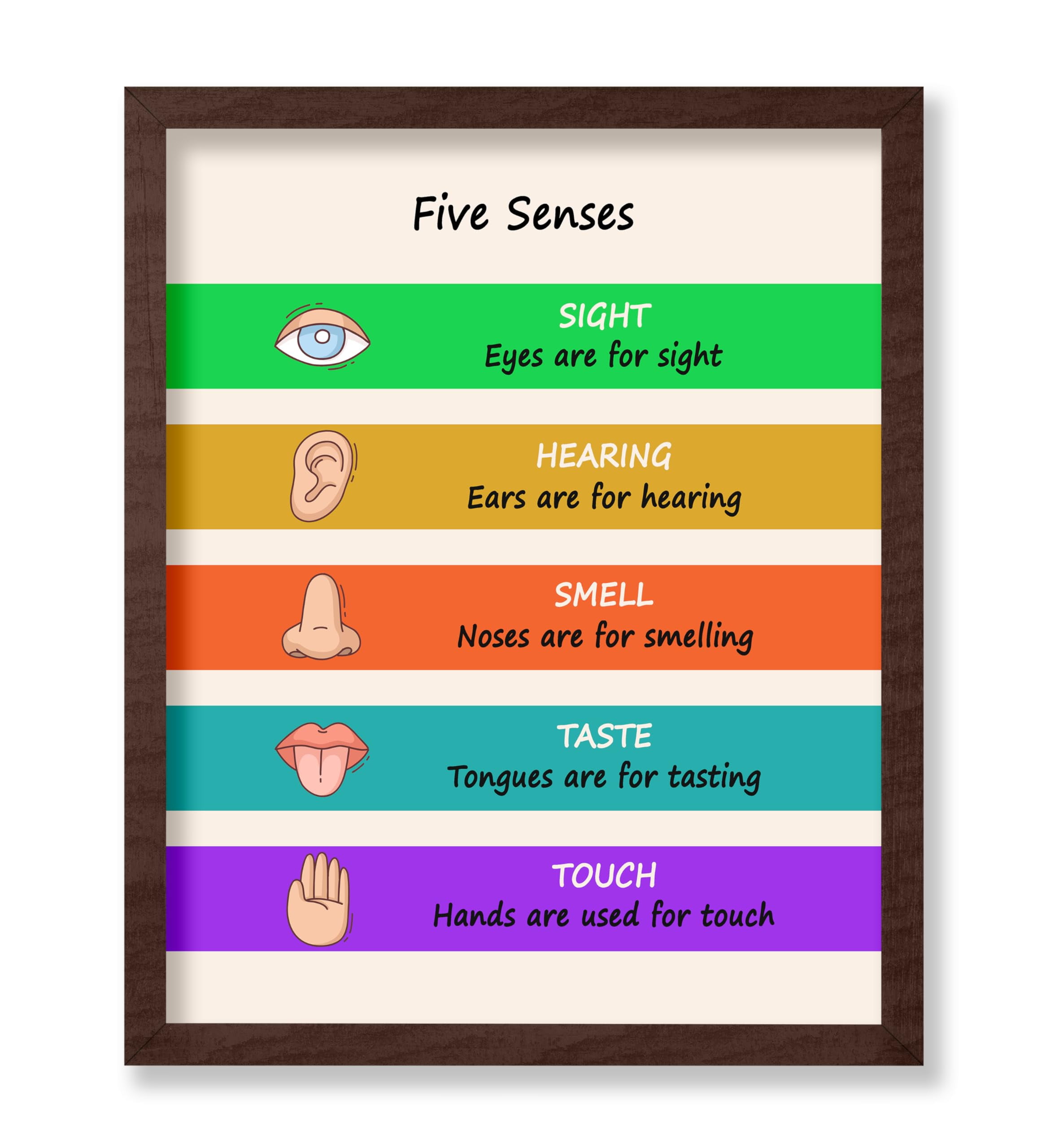 Poster Master Five Senses Poster - Senses Chart Print - Educational Art ...