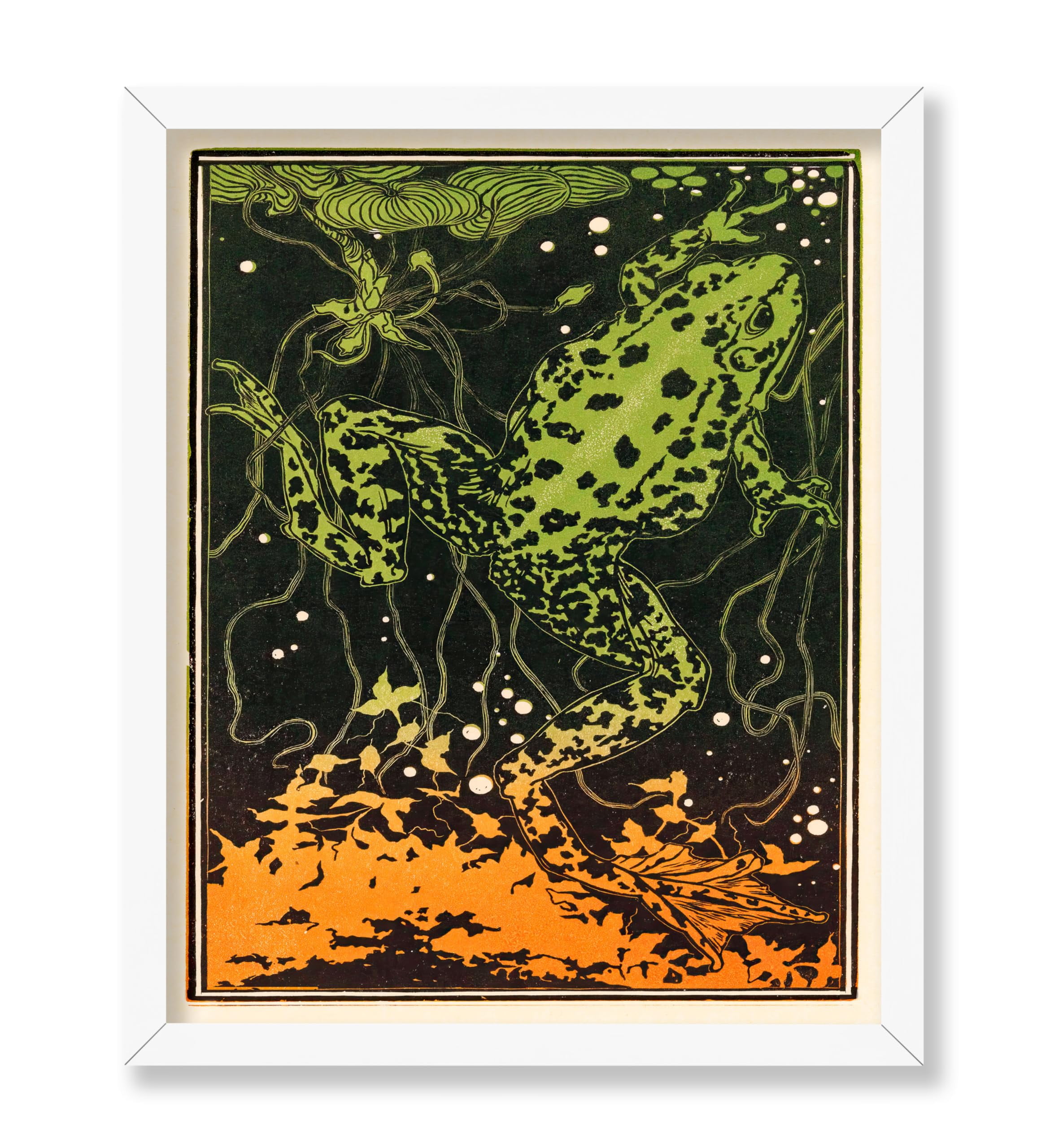 Poster Master Frog Poster - Retro Swimming Frog Print - Amphibians Art - Toad Art - Abstract Art ...