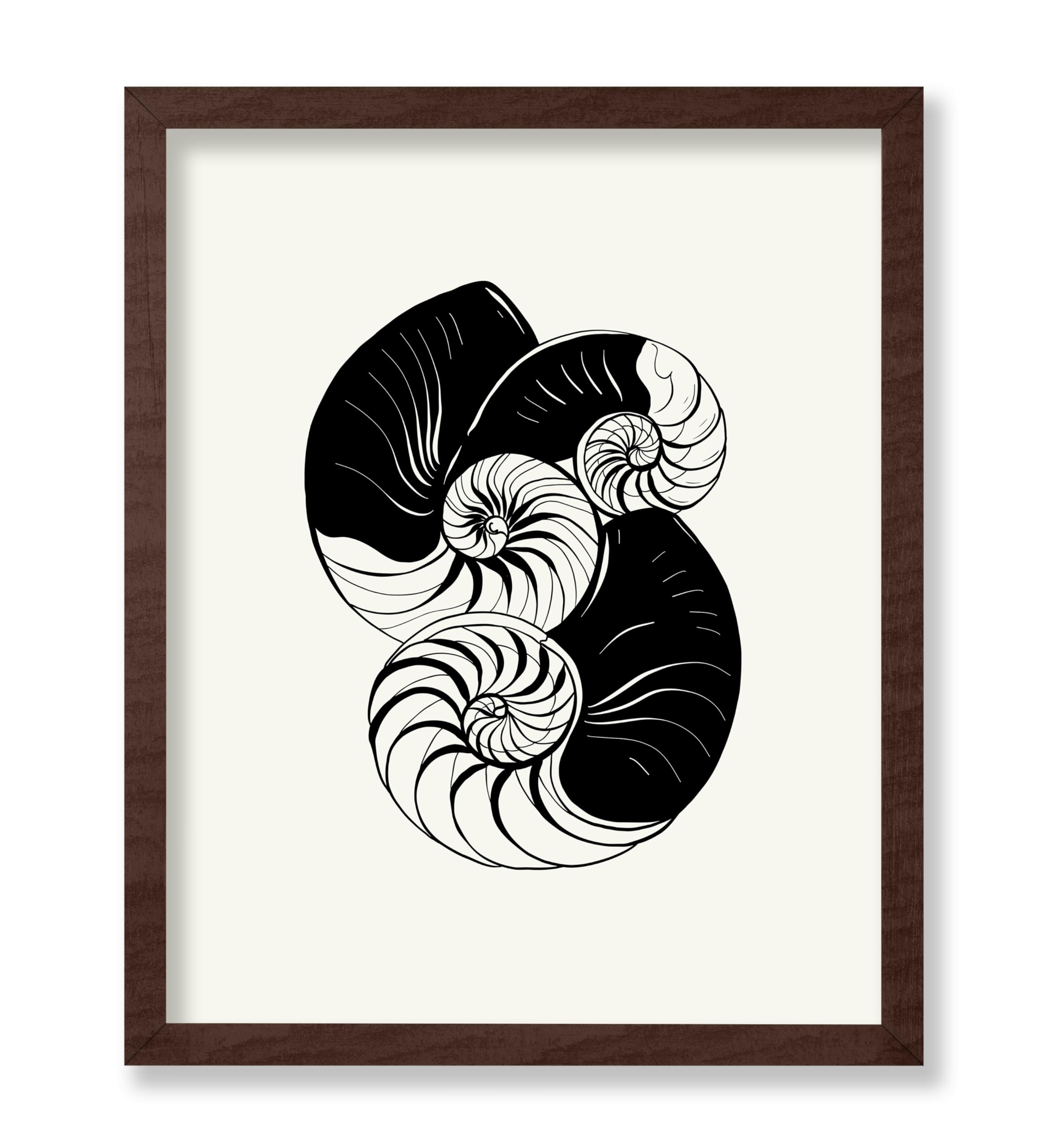 Poster Master Goniatites Poster - Retro Aquatic Print - Marine Life Art ...