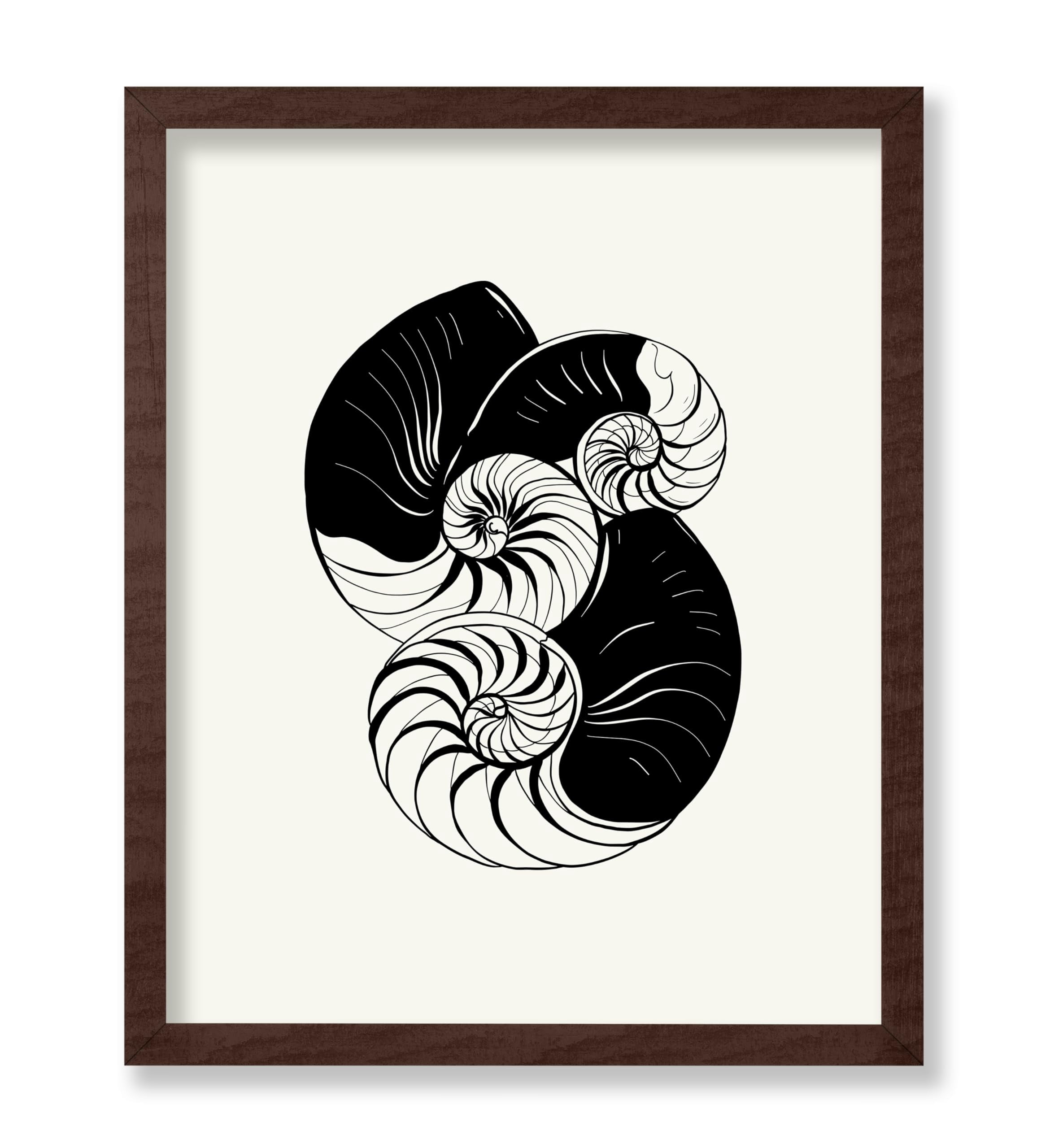 Poster Master Goniatites Poster - Retro Aquatic Print - Marine Life Art ...