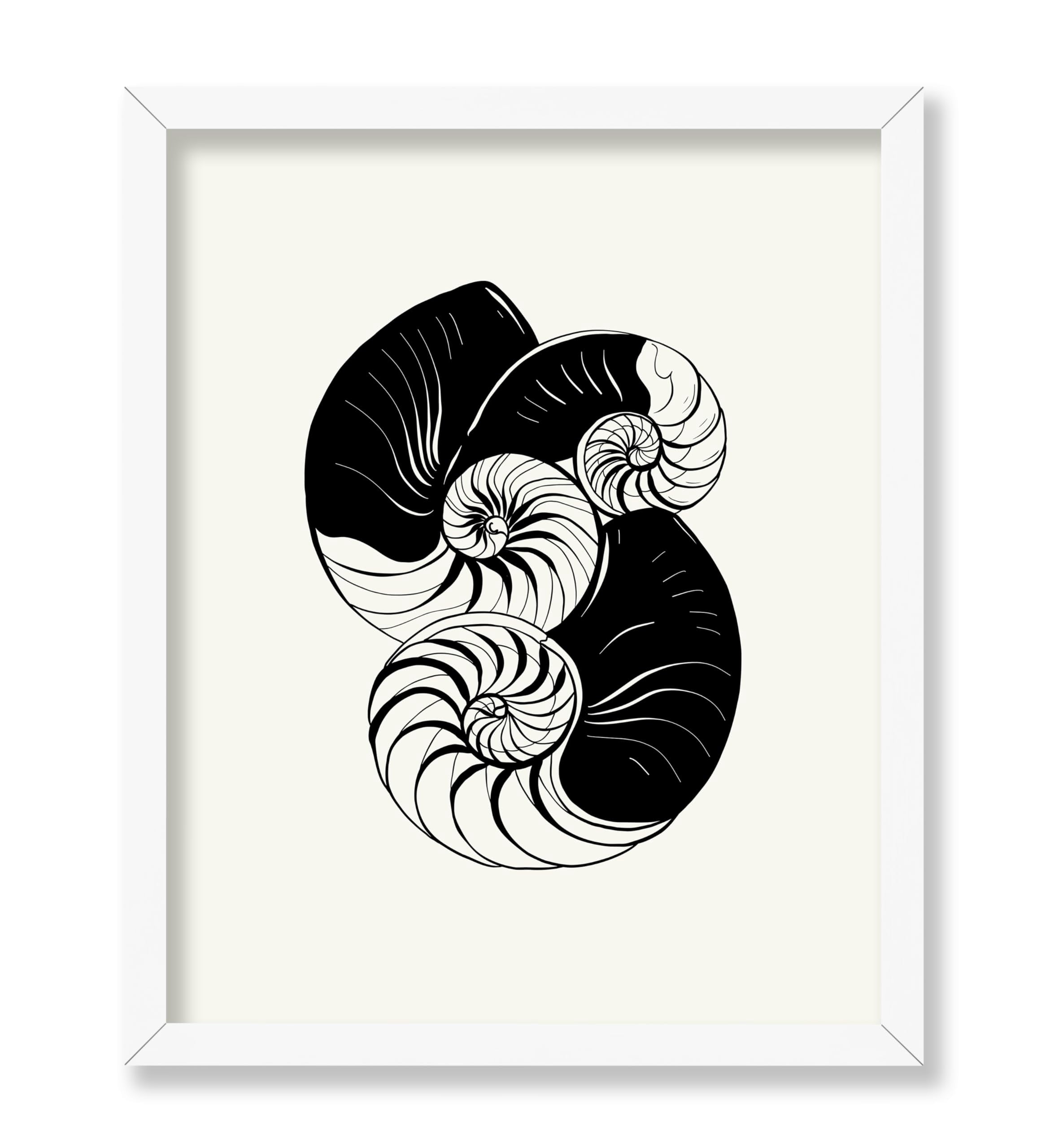 Poster Master Goniatites Poster - Retro Aquatic Print - Marine Life Art ...