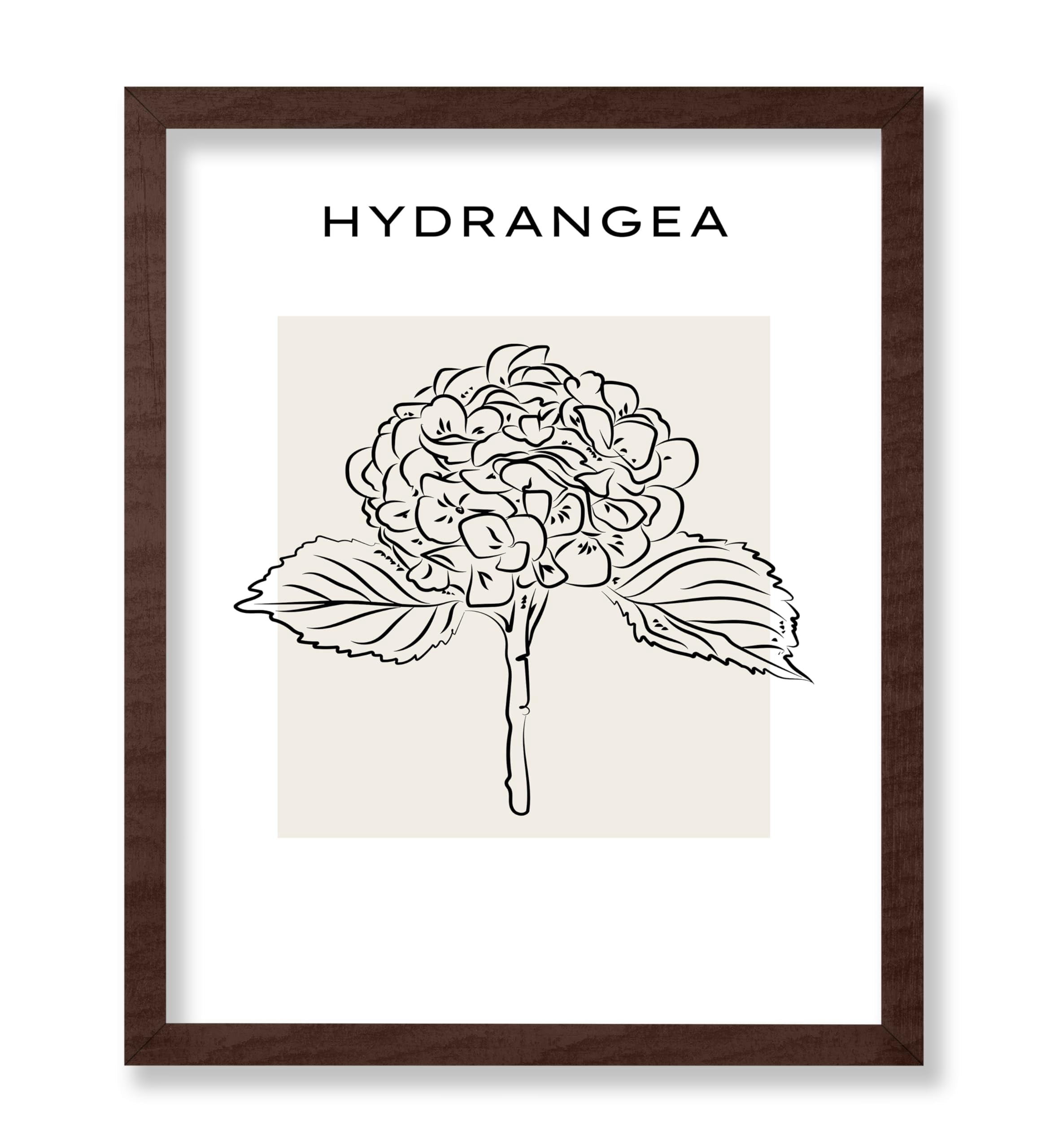 Poster Master Hydrangea Poster - Retro Flower Print - Floral Art ...