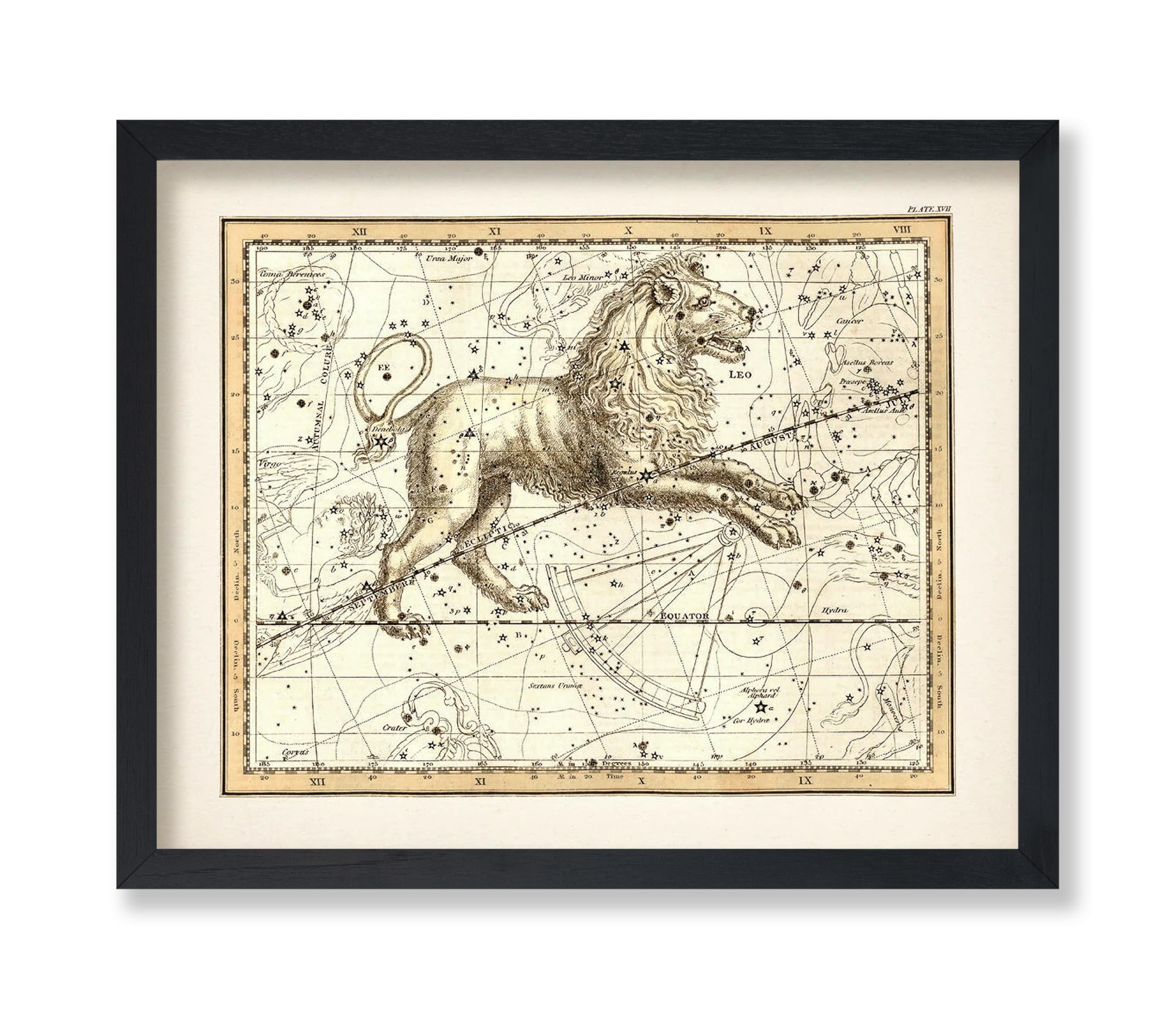 Poster Master Leo the Lion Zodiac Sign Poster, Great Vintage Zodiac ...