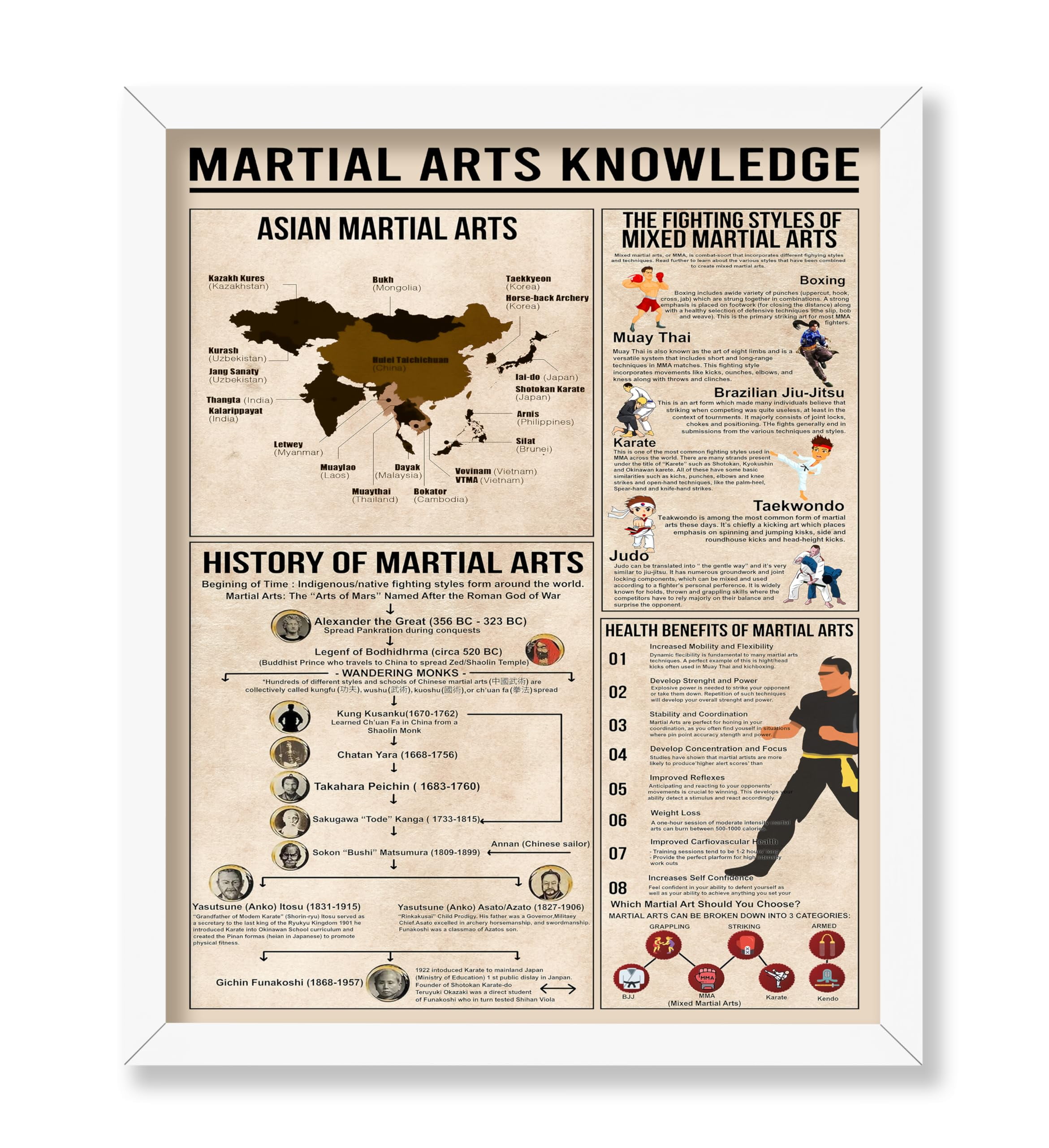 Poster Master Martial Arts Knowledge Poster - Fighting Styles of Mixed ...