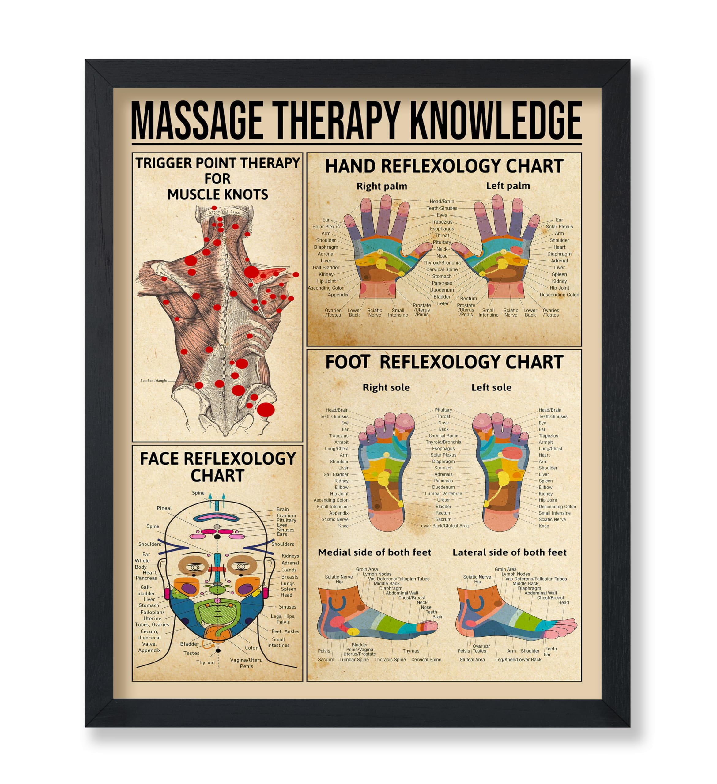 Poster Master Massage Therapy Knowledge Poster - Reflexology Chart ...