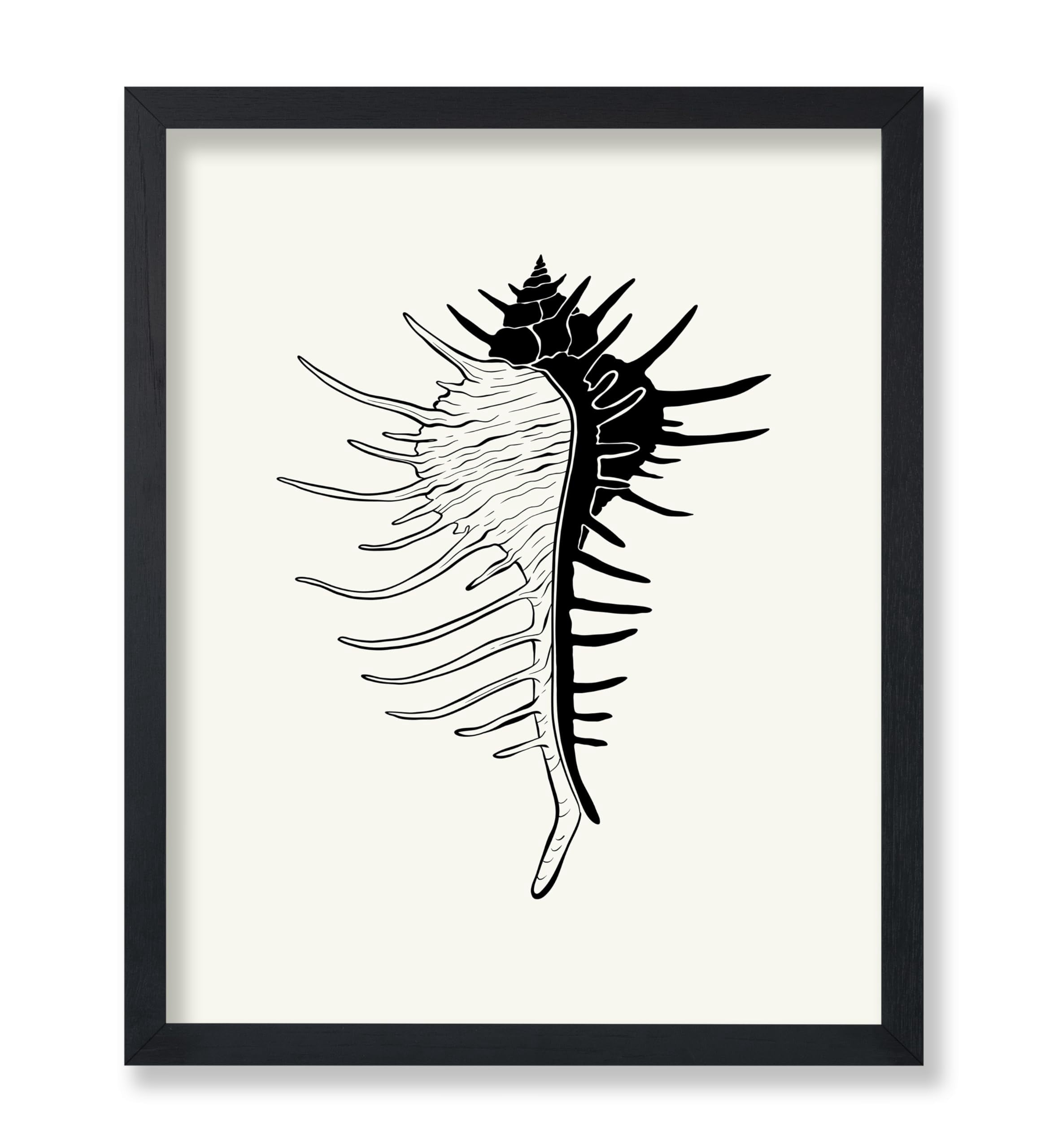Poster Master Murex Shell Poster - Retro Aquatic Print - Marine Life ...