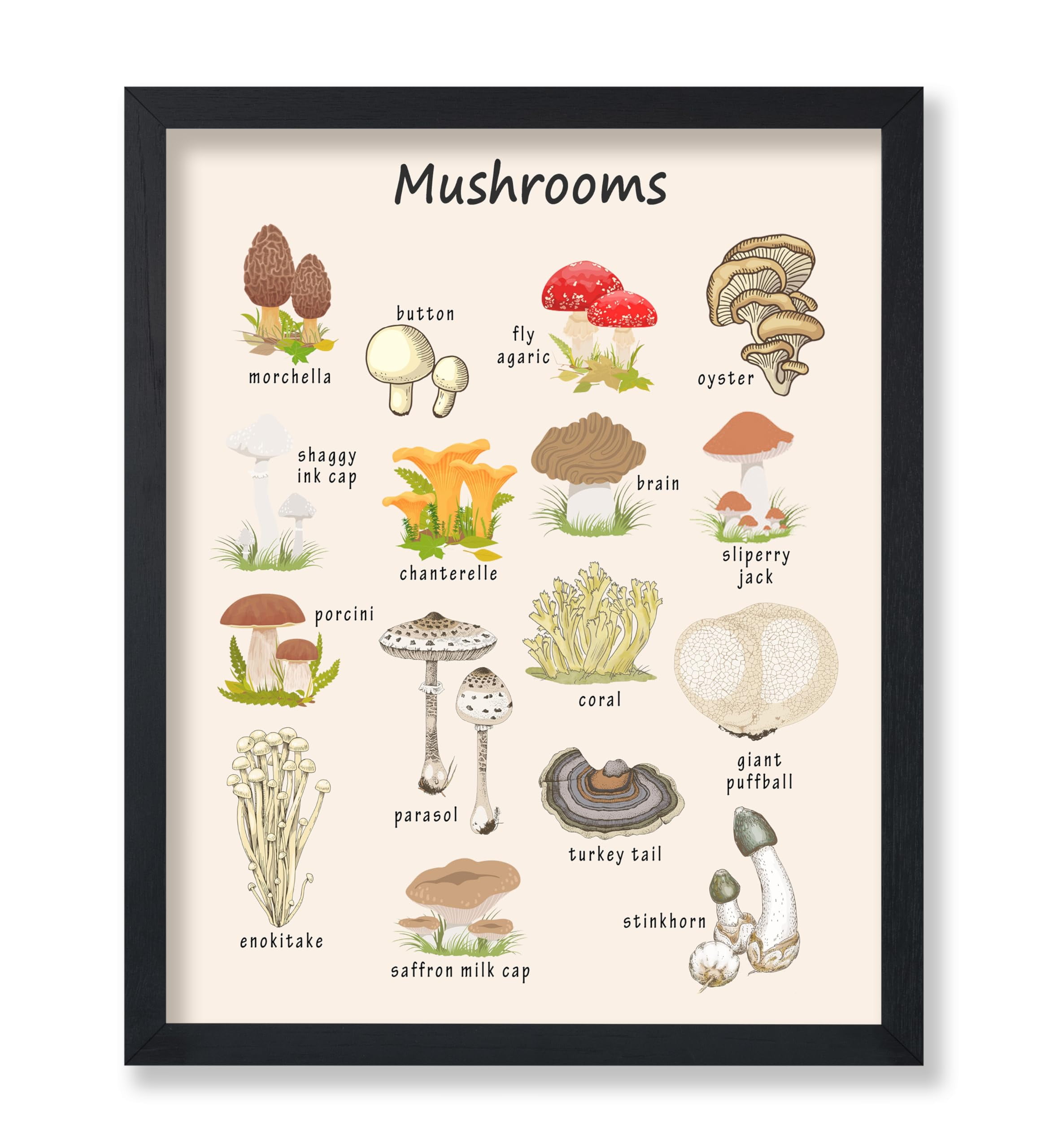 Poster Master Mushroom Poster - Botanical Print - Learning Materials ...