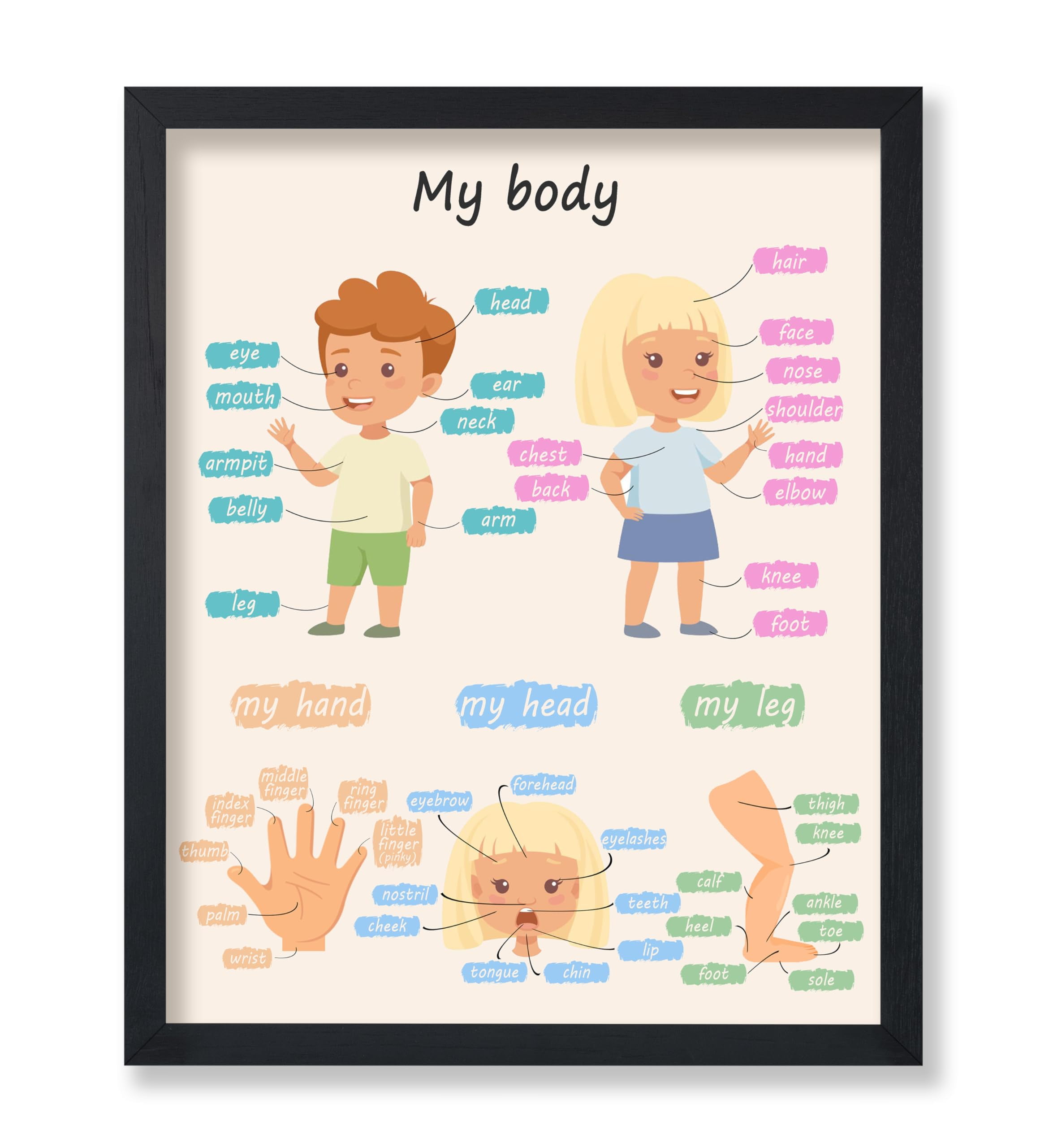 Poster Master My Body Poster - Body Parts Print - Learning Materials ...