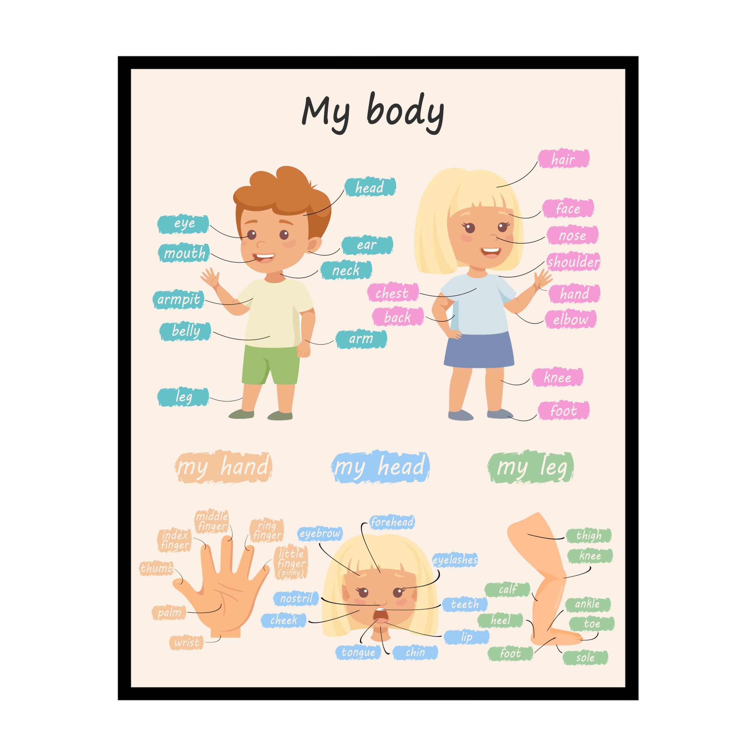Poster Master My Body Poster - Body Parts Print - Learning Materials ...