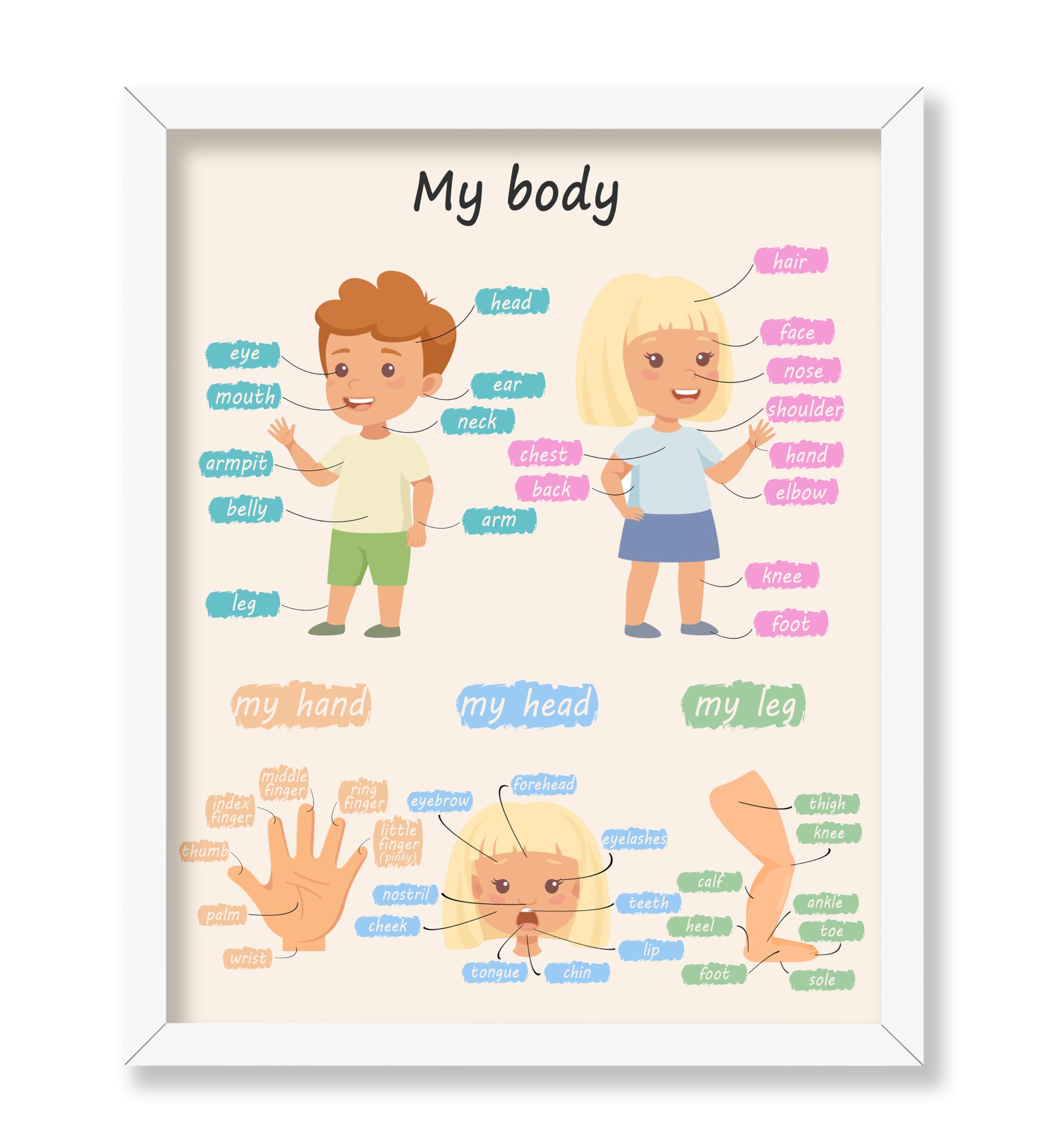 Poster Master My Body Poster - Body Parts Print - Learning Materials ...